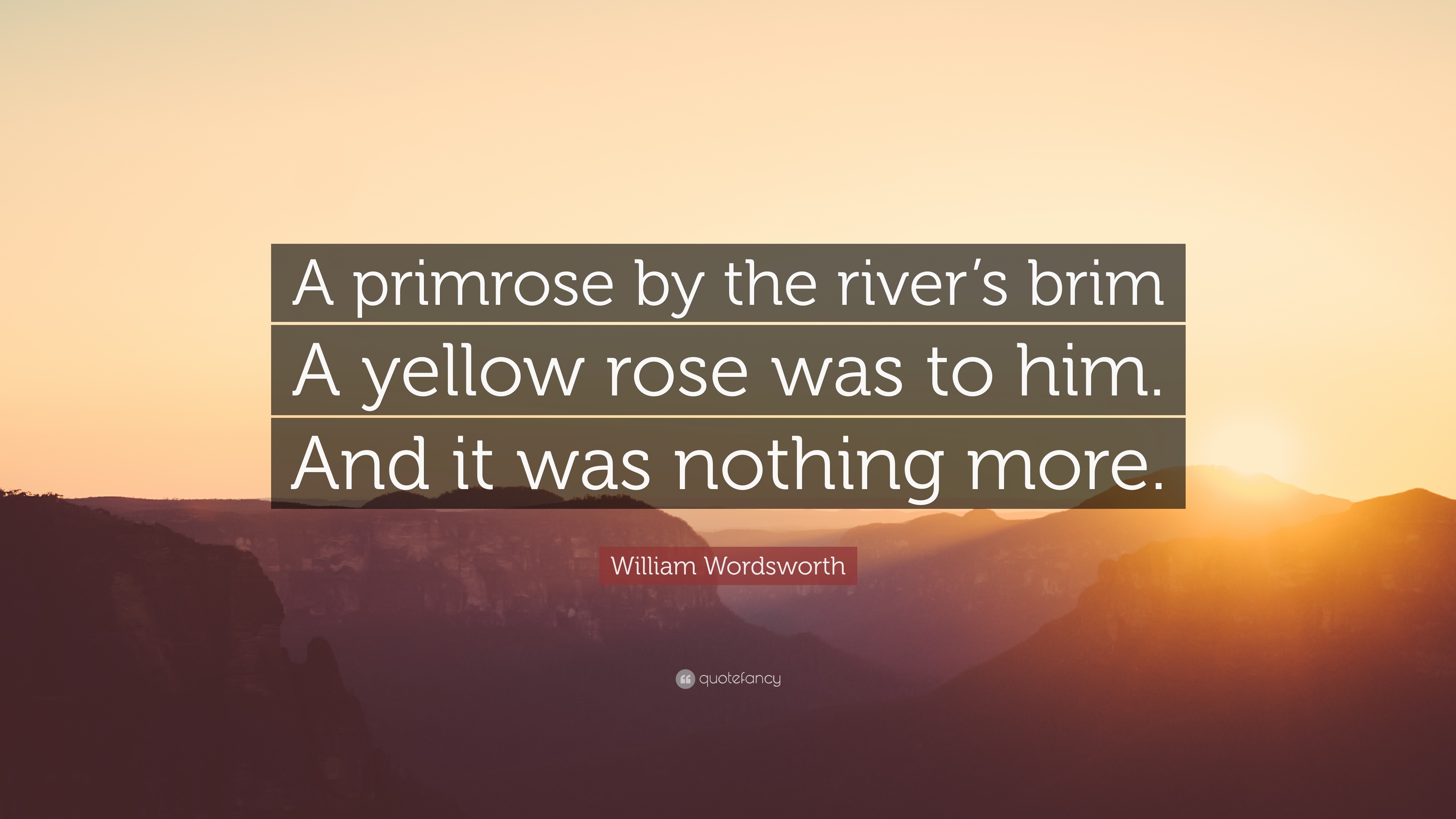 William Wordsworth Quote: “A primrose by the river’s brim A yellow rose ...