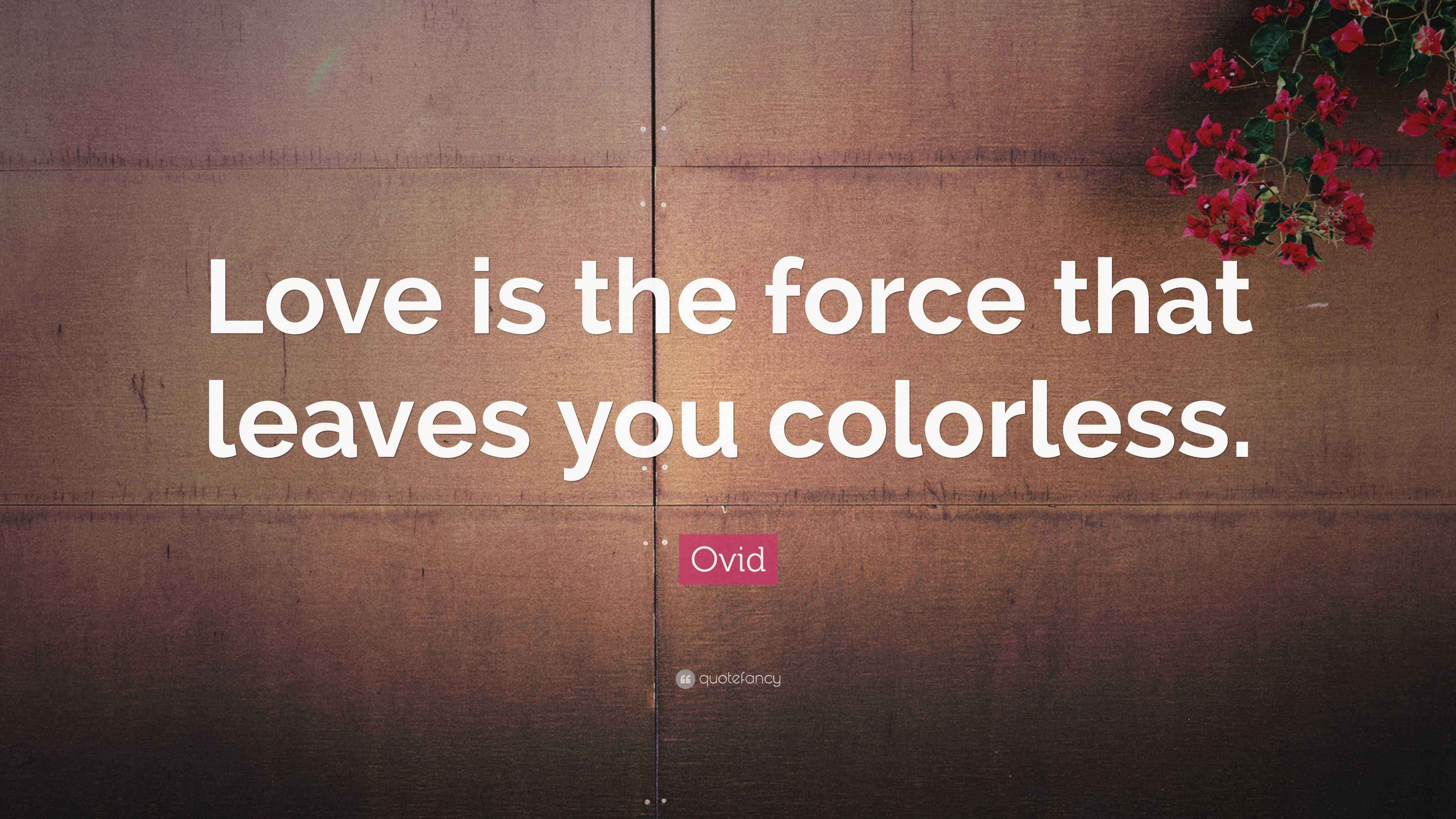 Ovid Quote: “Love is the force that leaves you colorless.”
