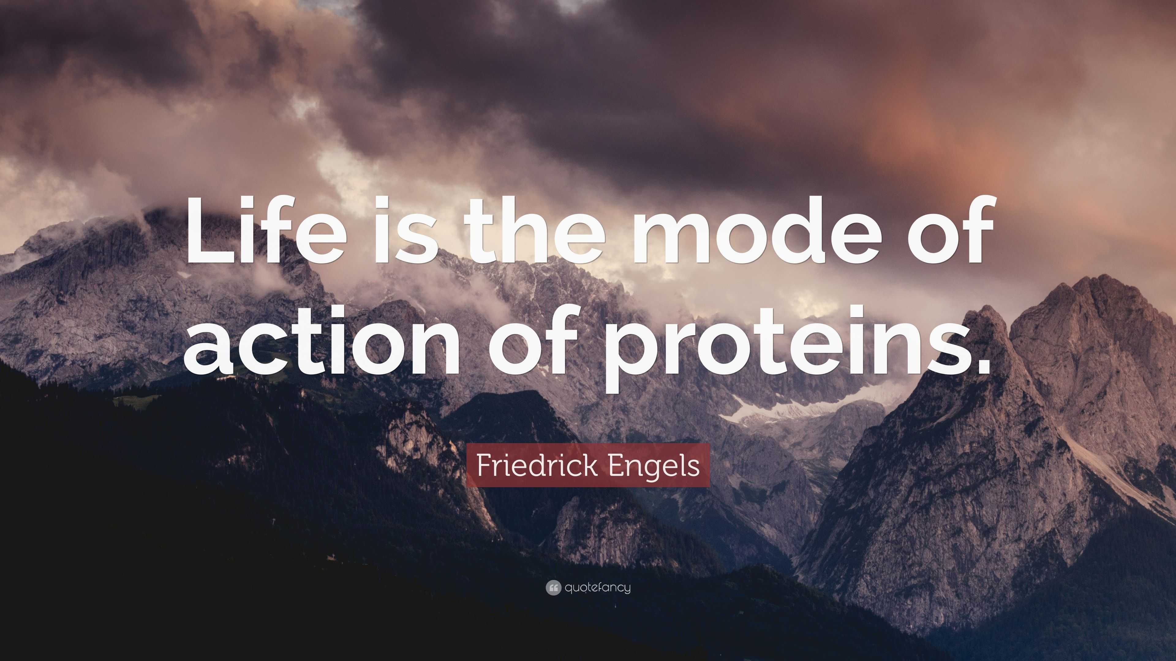 Friedrick Engels Quote: “Life is the mode of action of proteins.”
