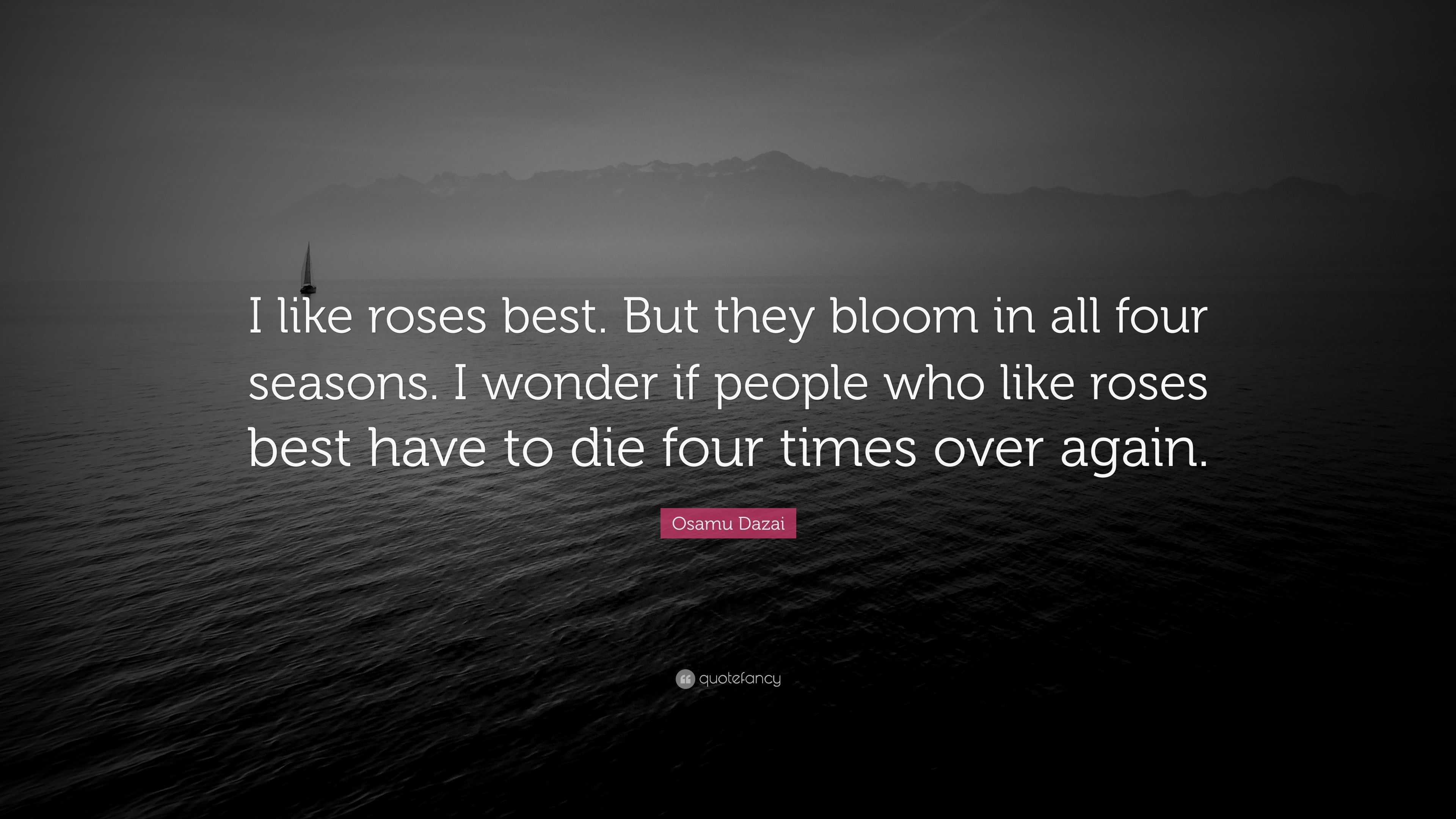 Osamu Dazai Quote: “I like roses best. But they bloom in all four ...
