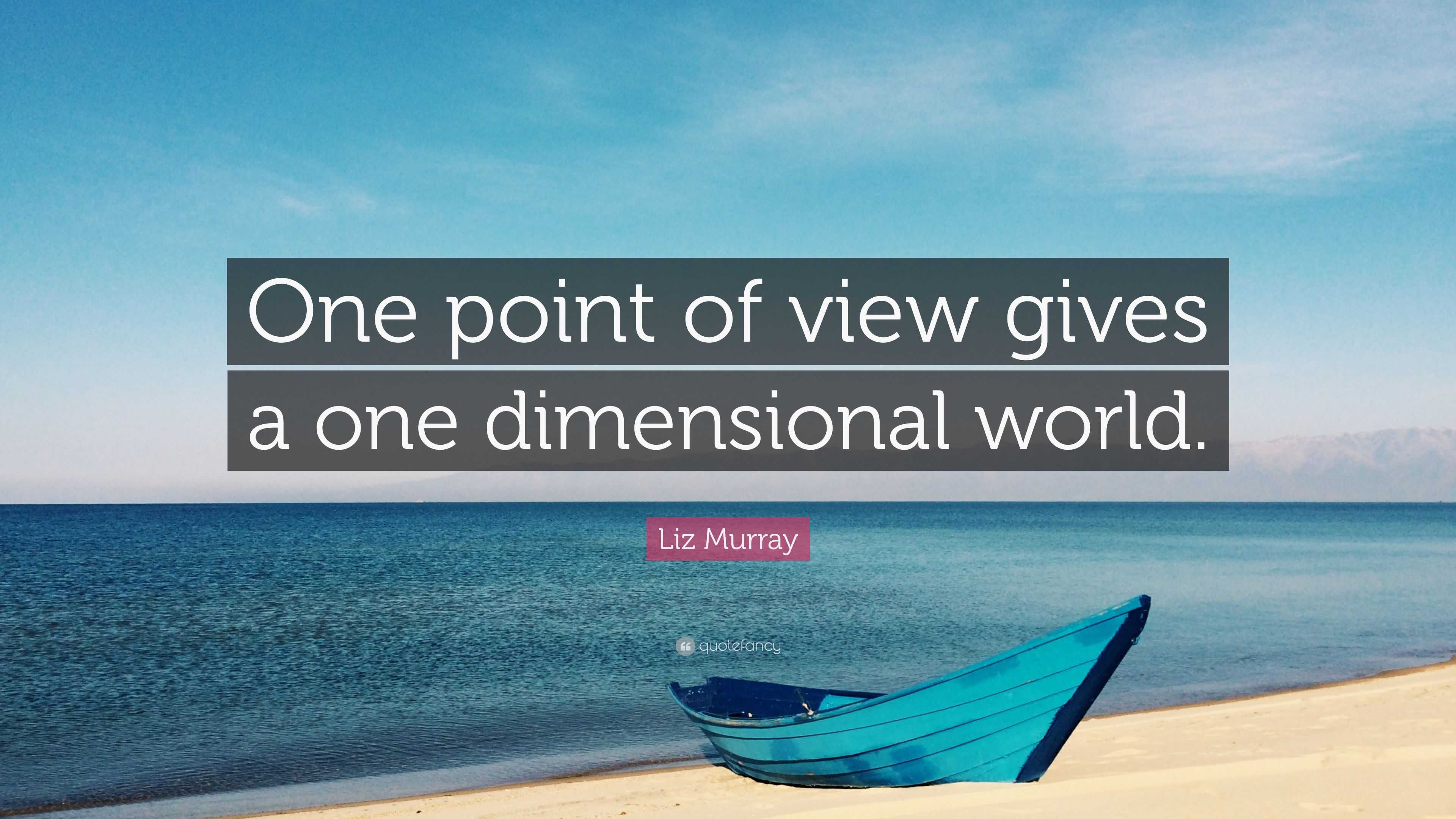 Liz Murray Quote: “One point of view gives a one dimensional world.”