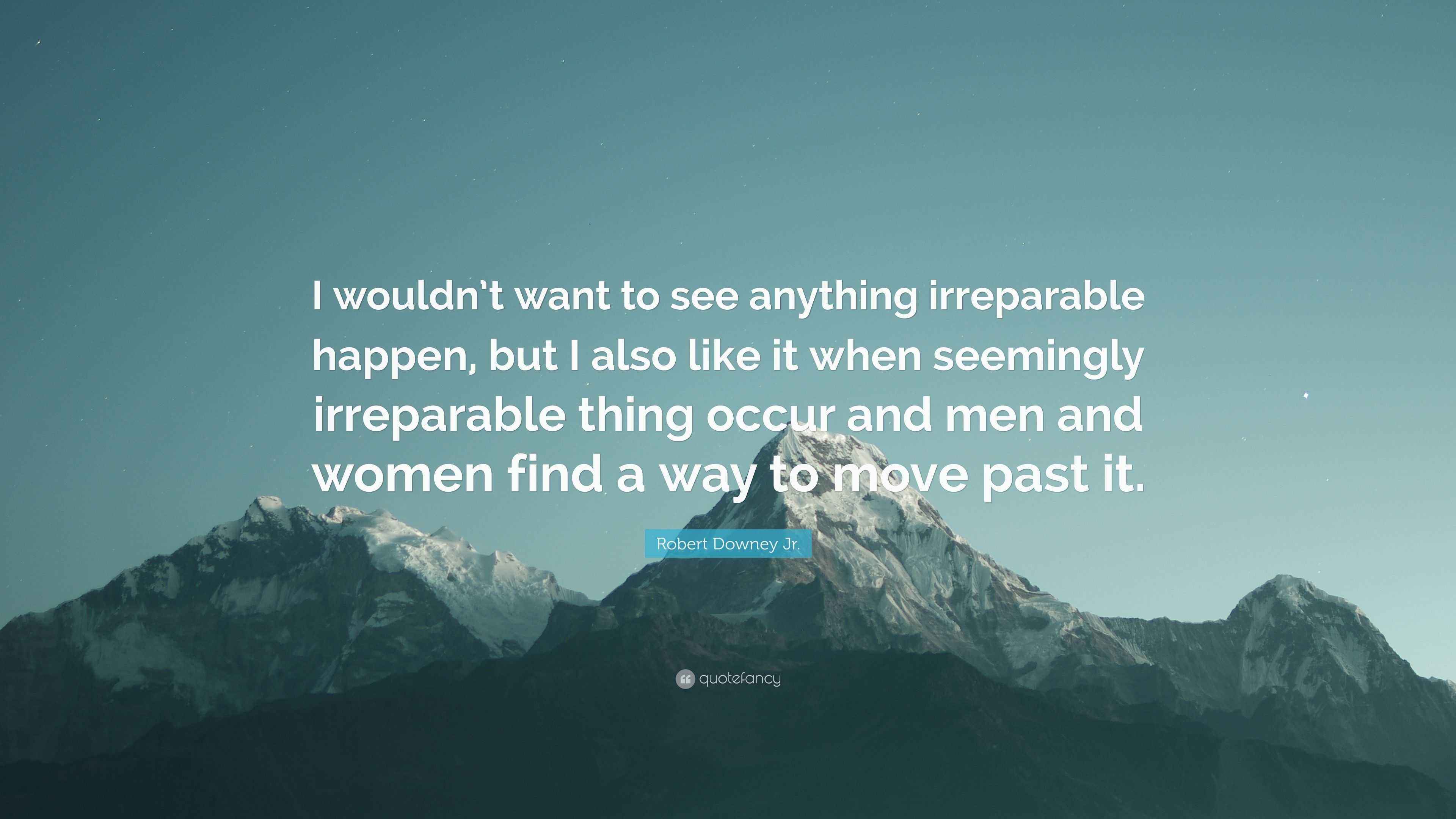 Robert Downey Jr. Quote: “I wouldn’t want to see anything irreparable ...