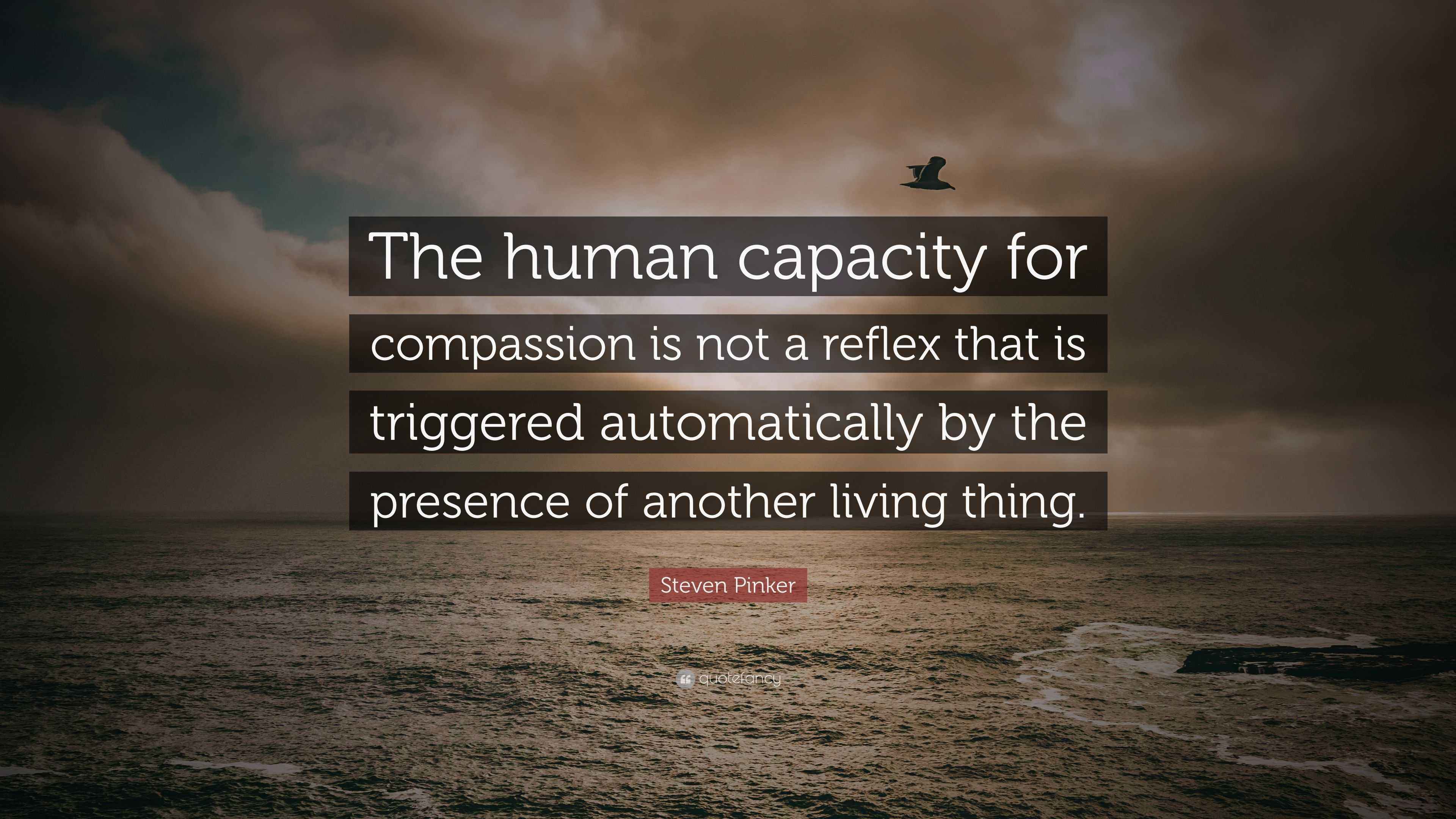 Steven Pinker Quote: “The human capacity for compassion is not a reflex ...