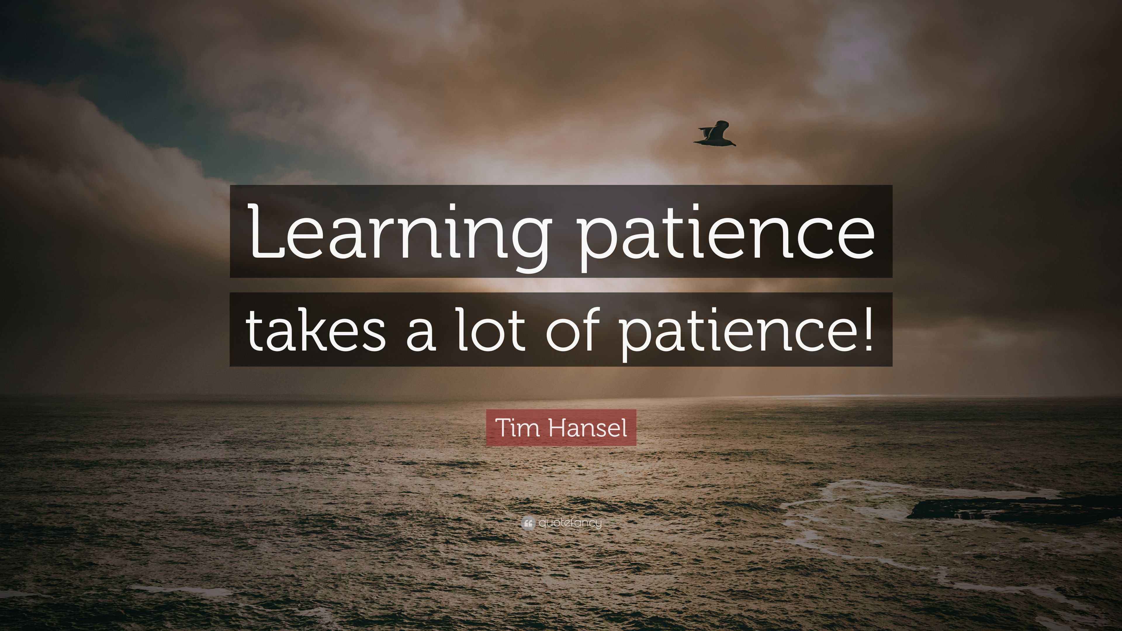 Tim Hansel Quote: “Learning patience takes a lot of patience!”