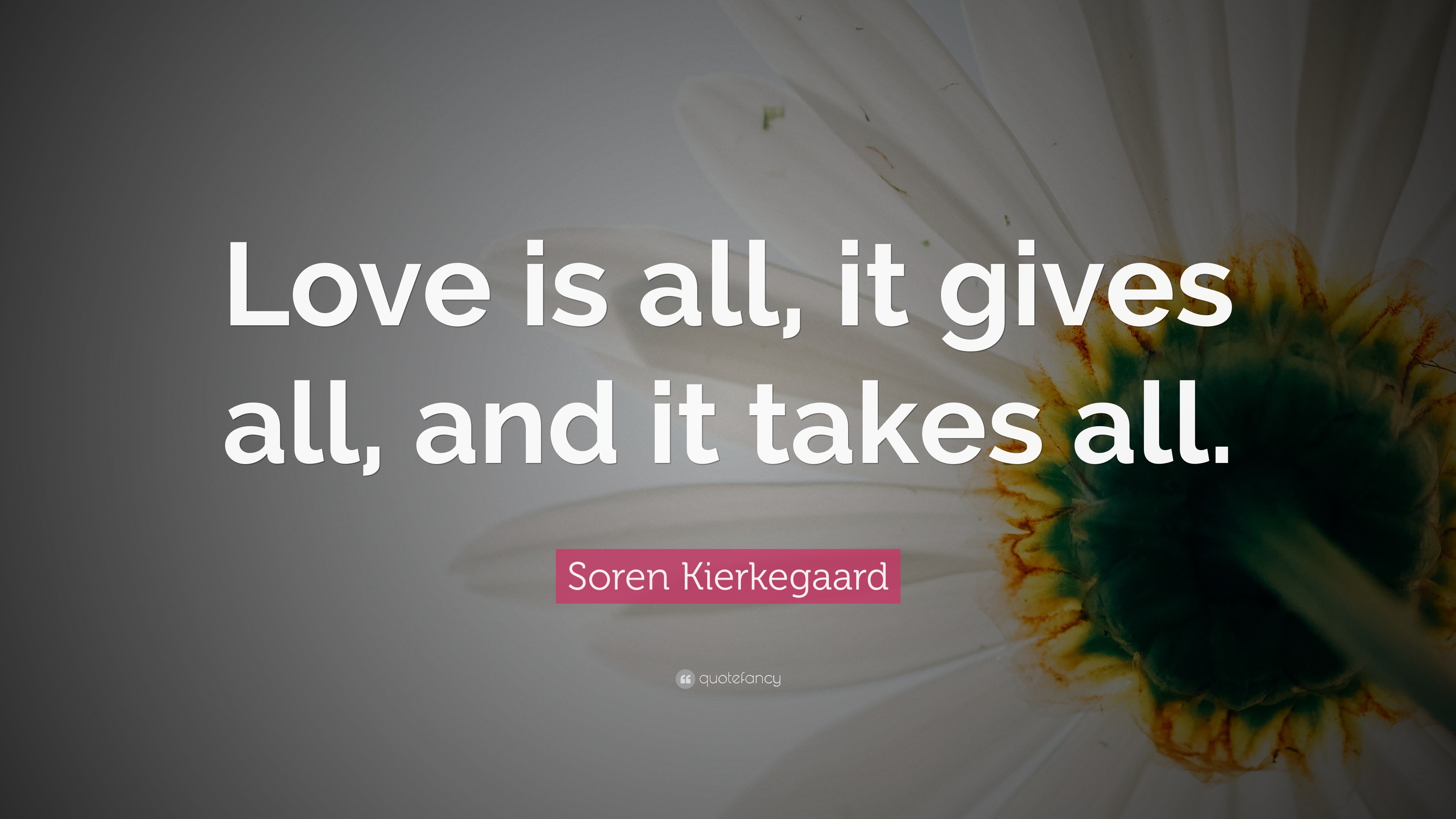 Soren Kierkegaard Quote: “Love is all, it gives all, and it takes all.”