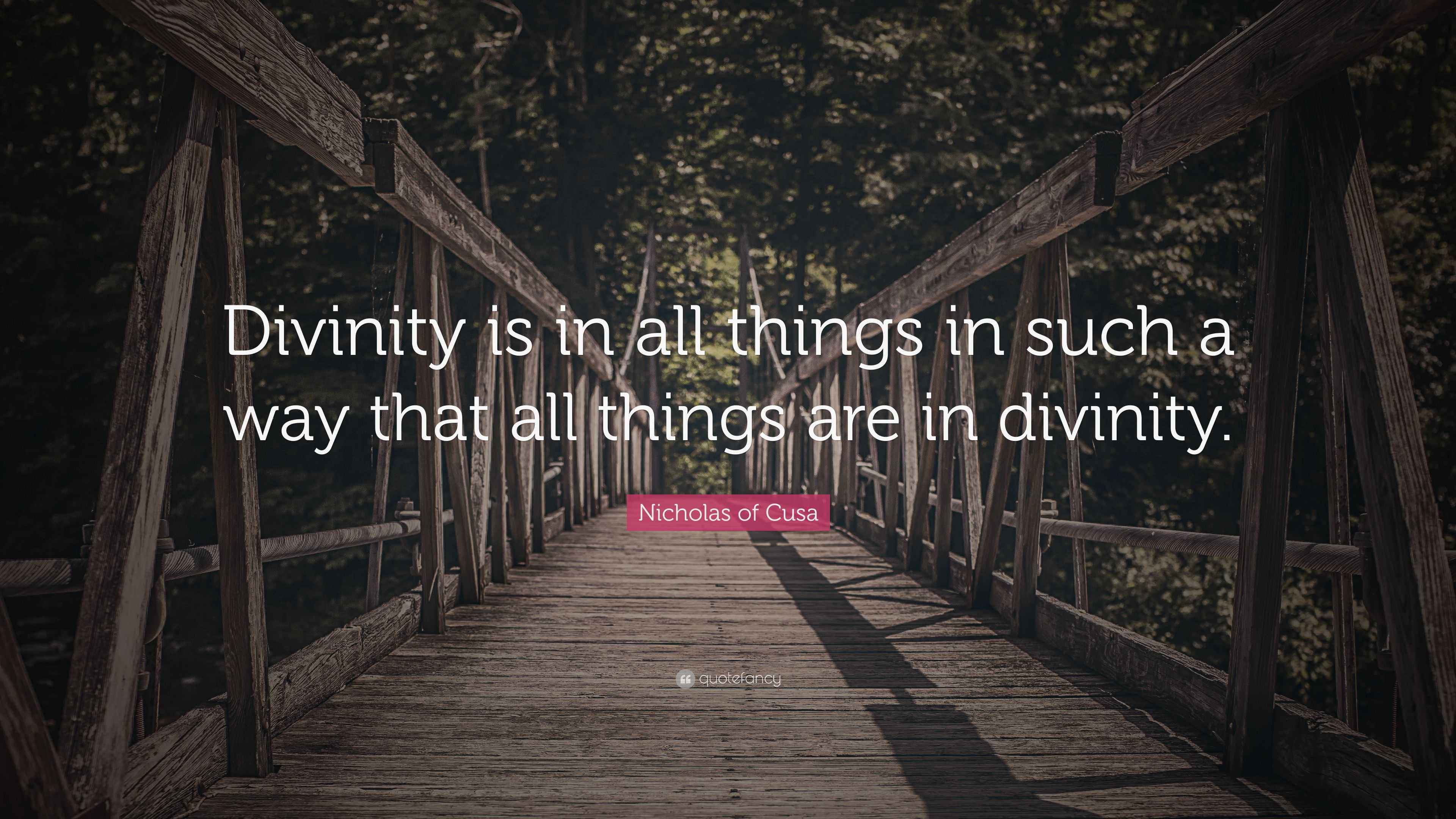 Nicholas of Cusa Quote: “Divinity is in all things in such a way that ...
