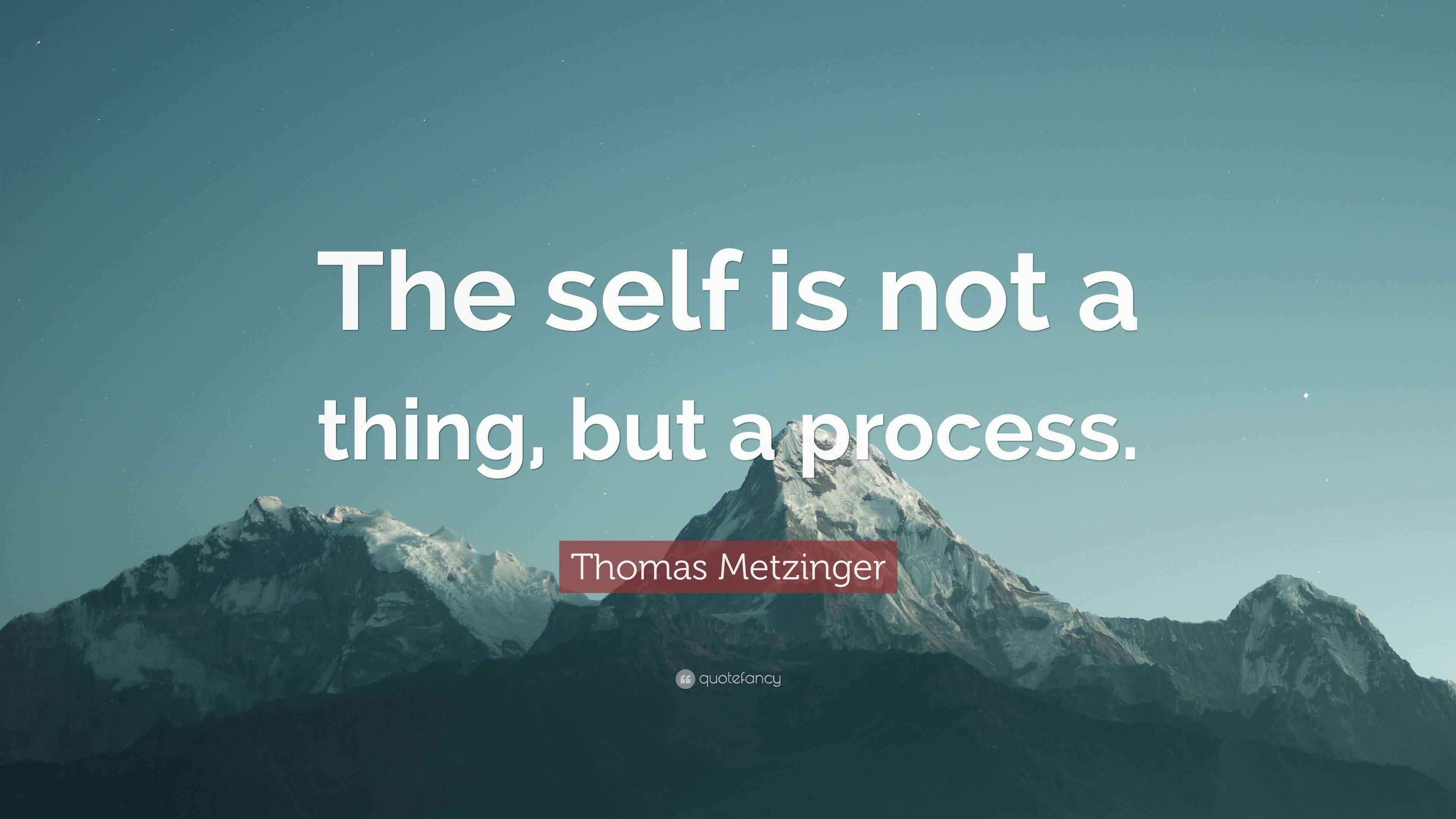 Thomas Metzinger Quote: “The self is not a thing, but a process.”