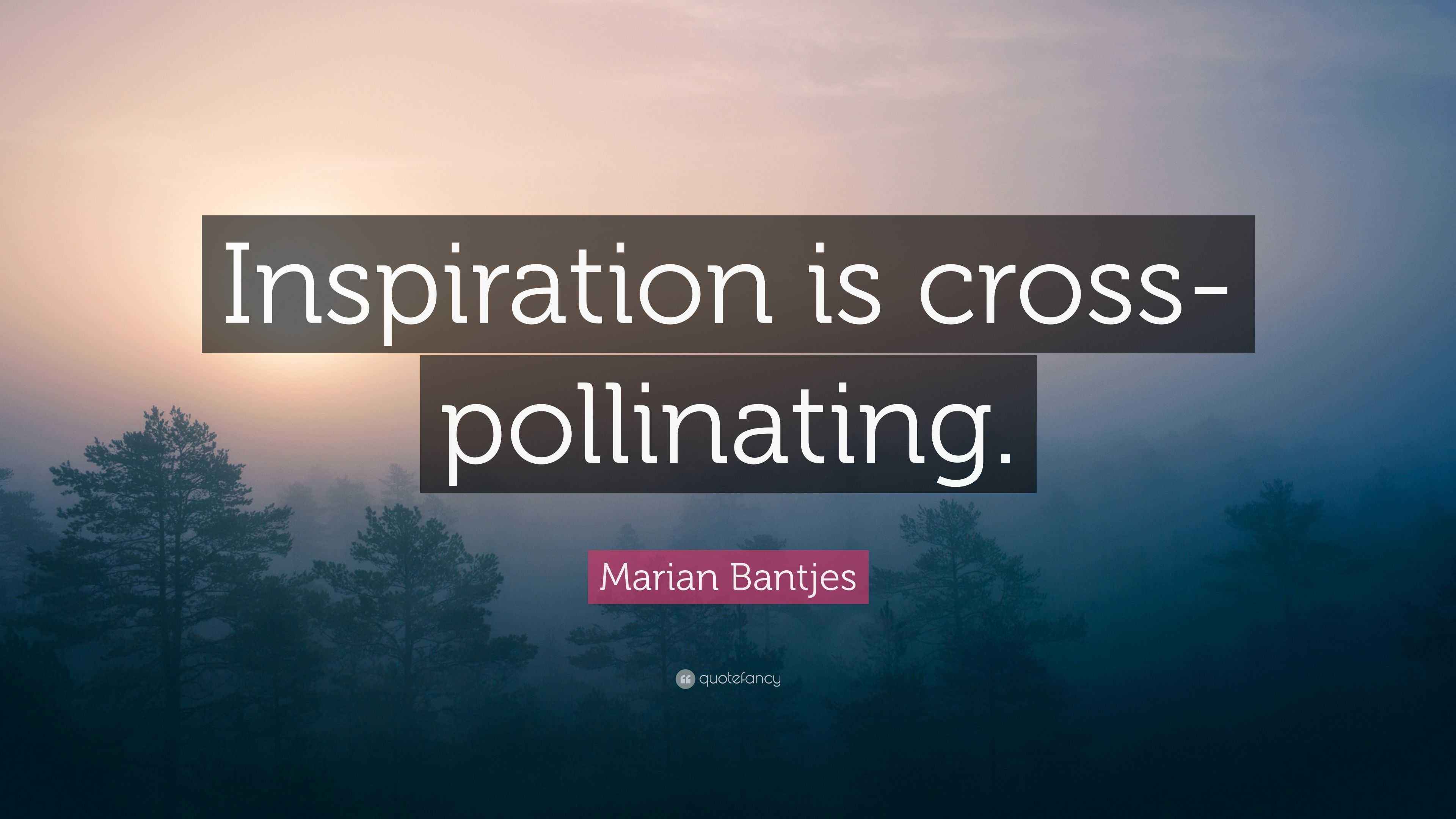 Marian Bantjes Quote: “Inspiration is cross-pollinating.”