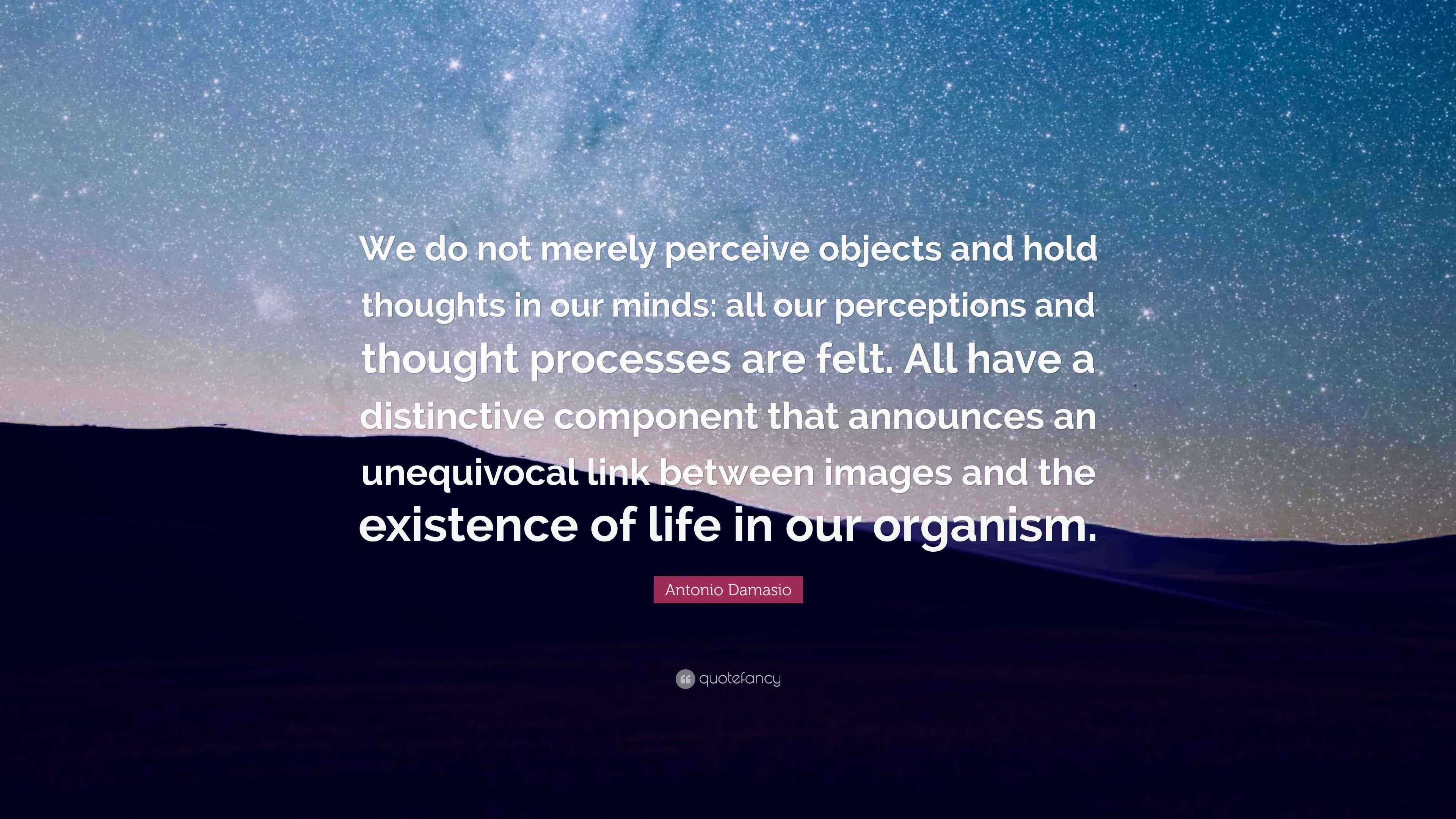 Antonio Damasio Quote: “We do not merely perceive objects and hold ...