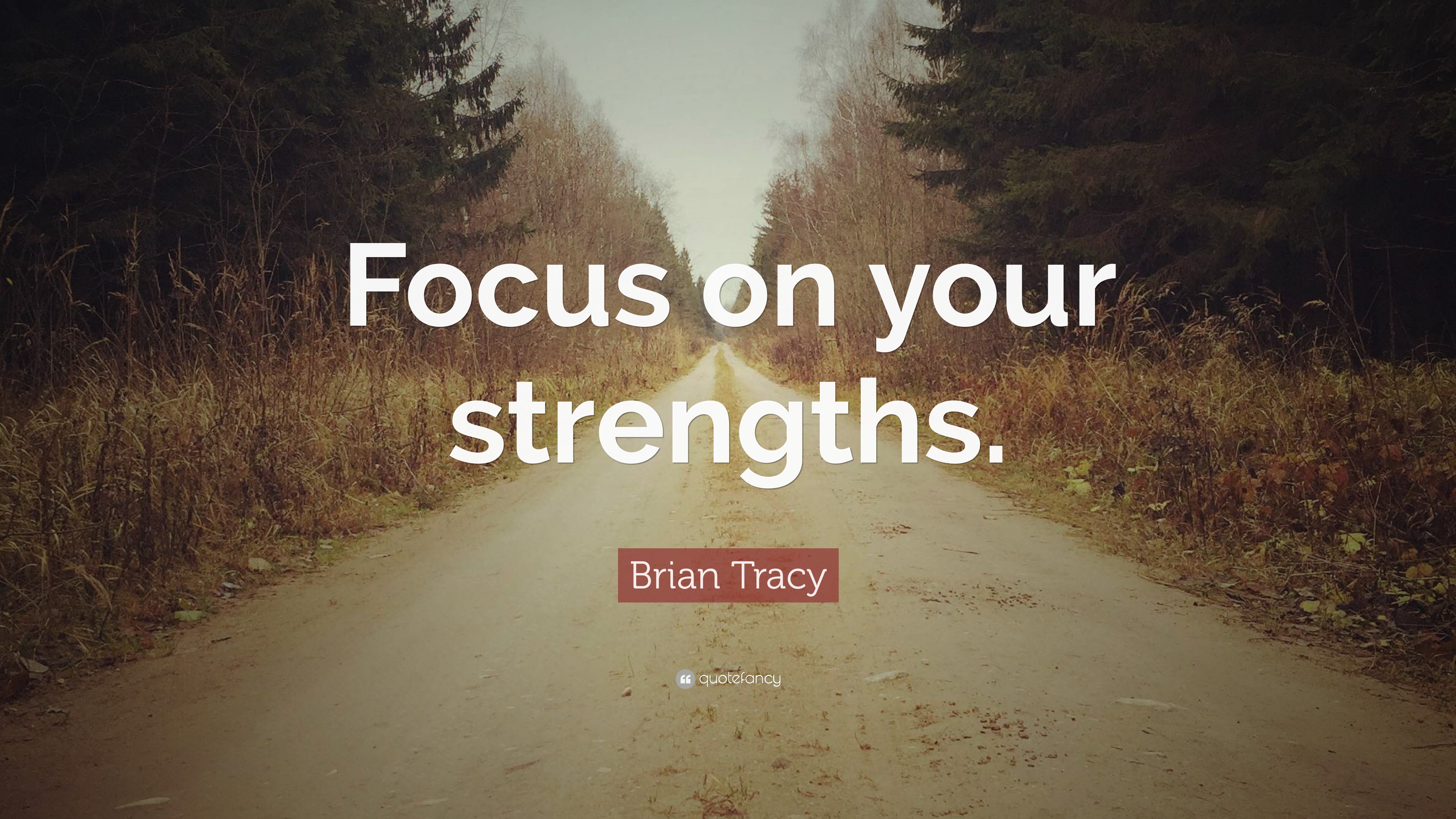 Brian Tracy Quote: “Focus on your strengths.”