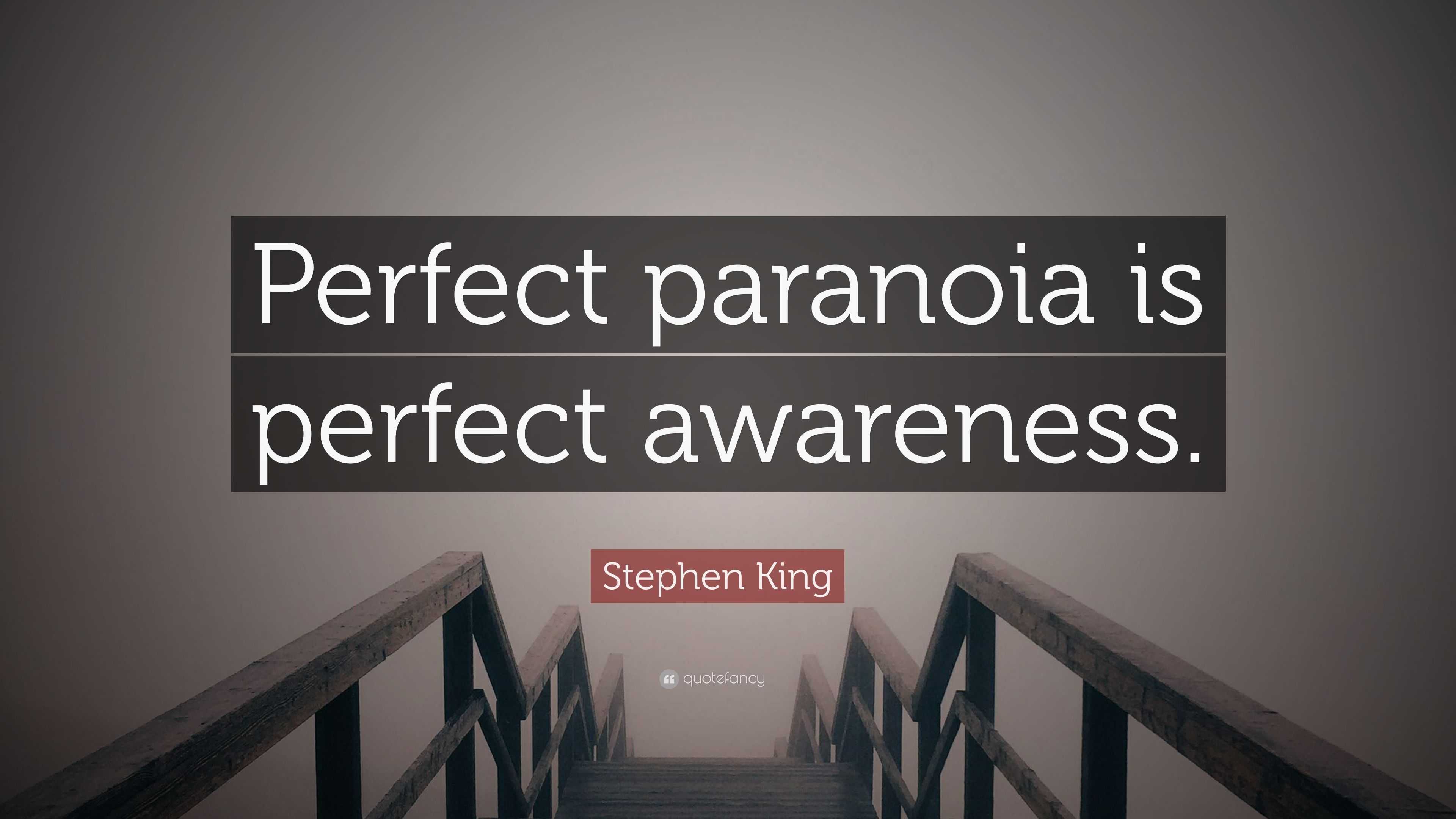Stephen King Quote: “Perfect paranoia is perfect awareness.”