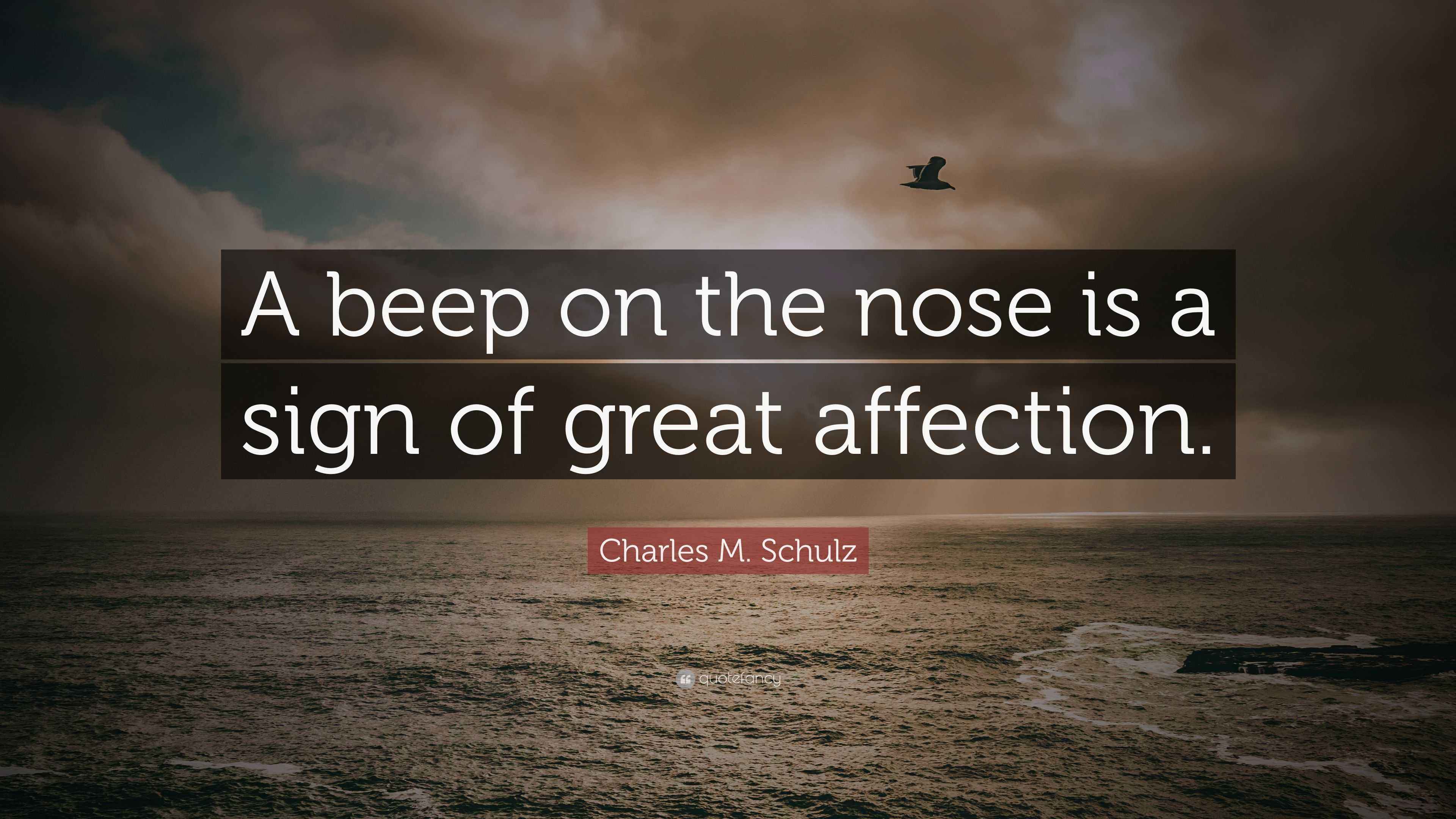 Charles M. Schulz Quote: “A beep on the nose is a sign of great affection.”
