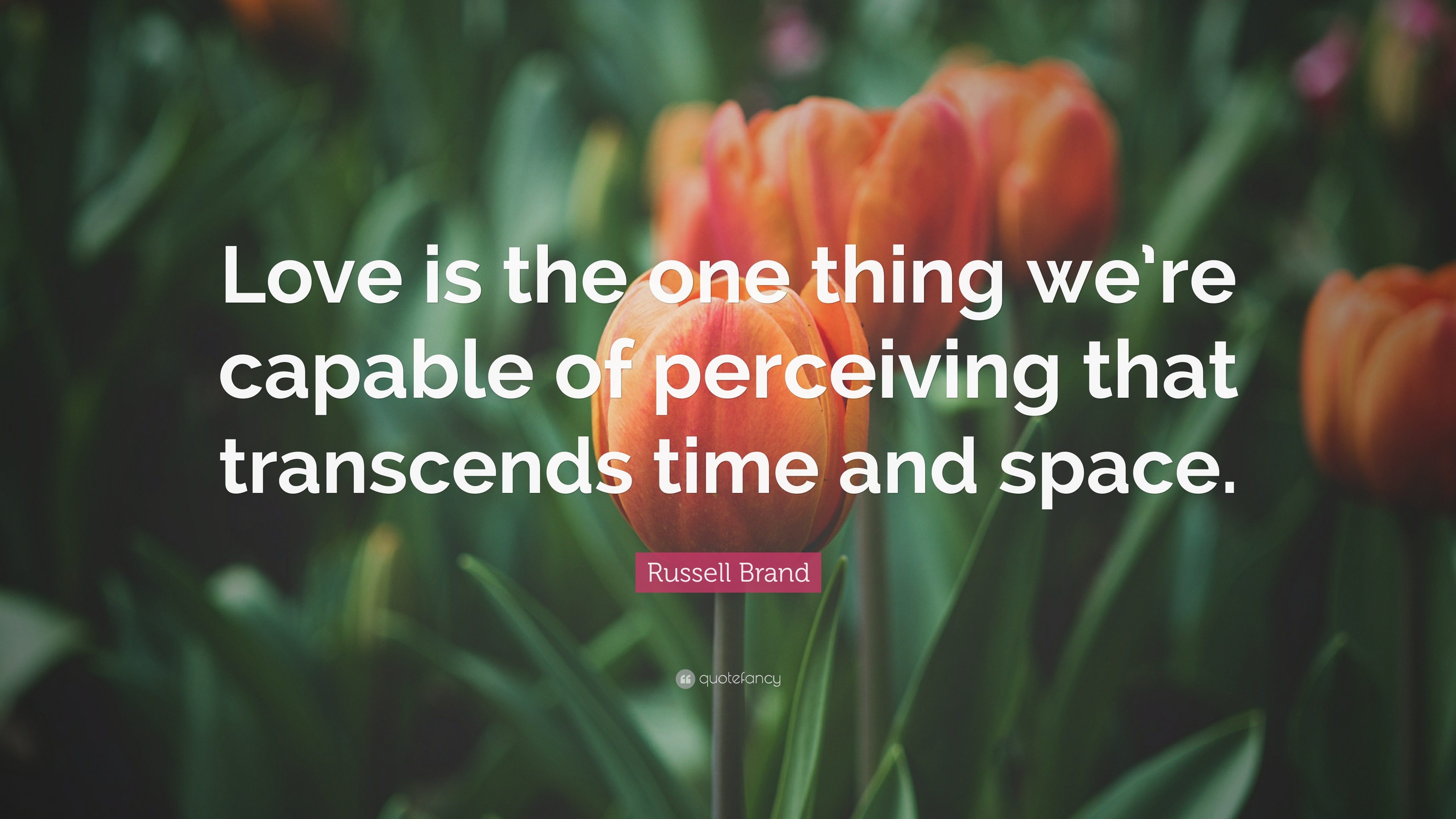 Russell Brand Quote: “Love is the one thing we’re capable of perceiving ...