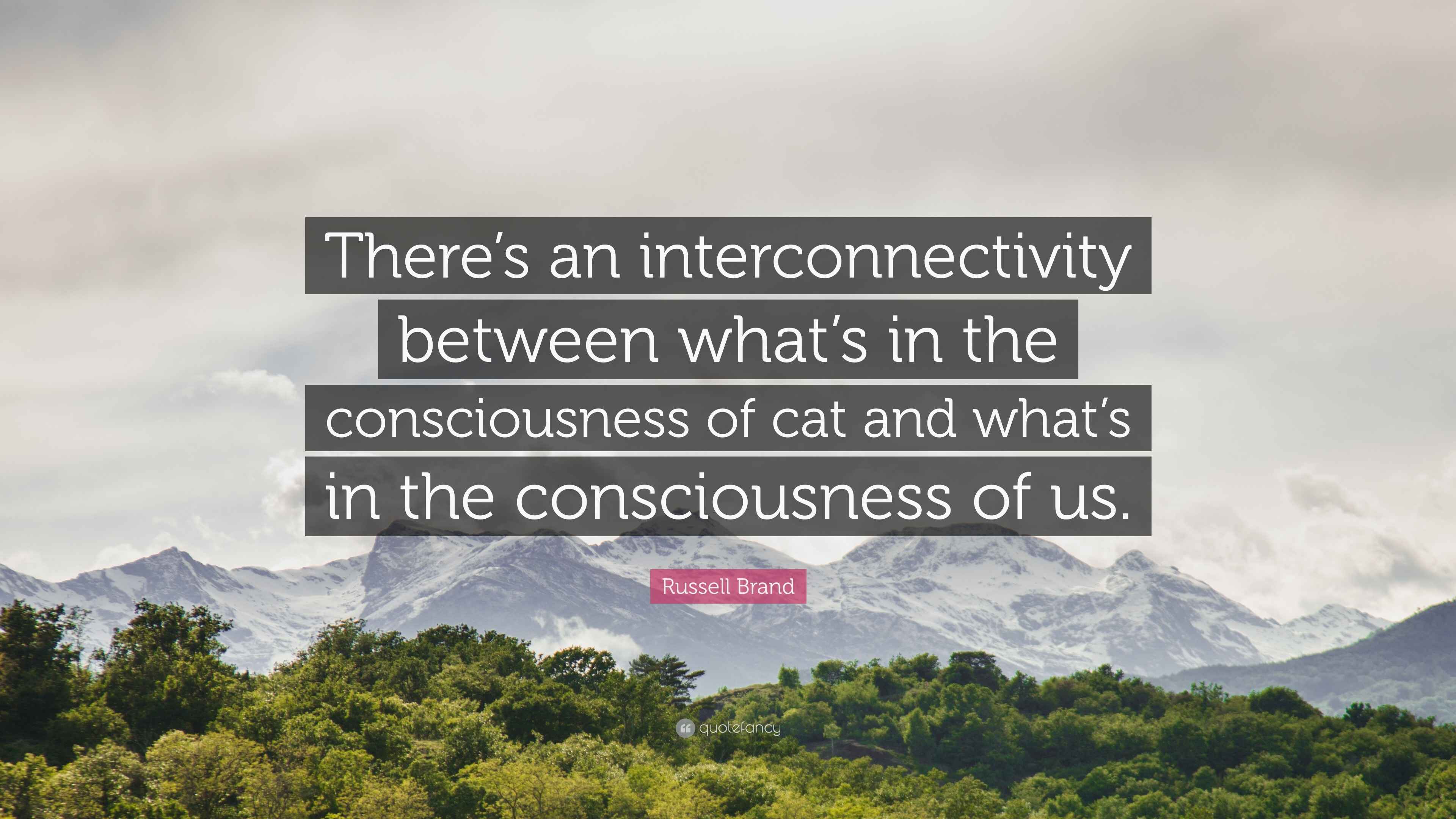 Russell Brand Quote: “There’s an interconnectivity between what’s in ...