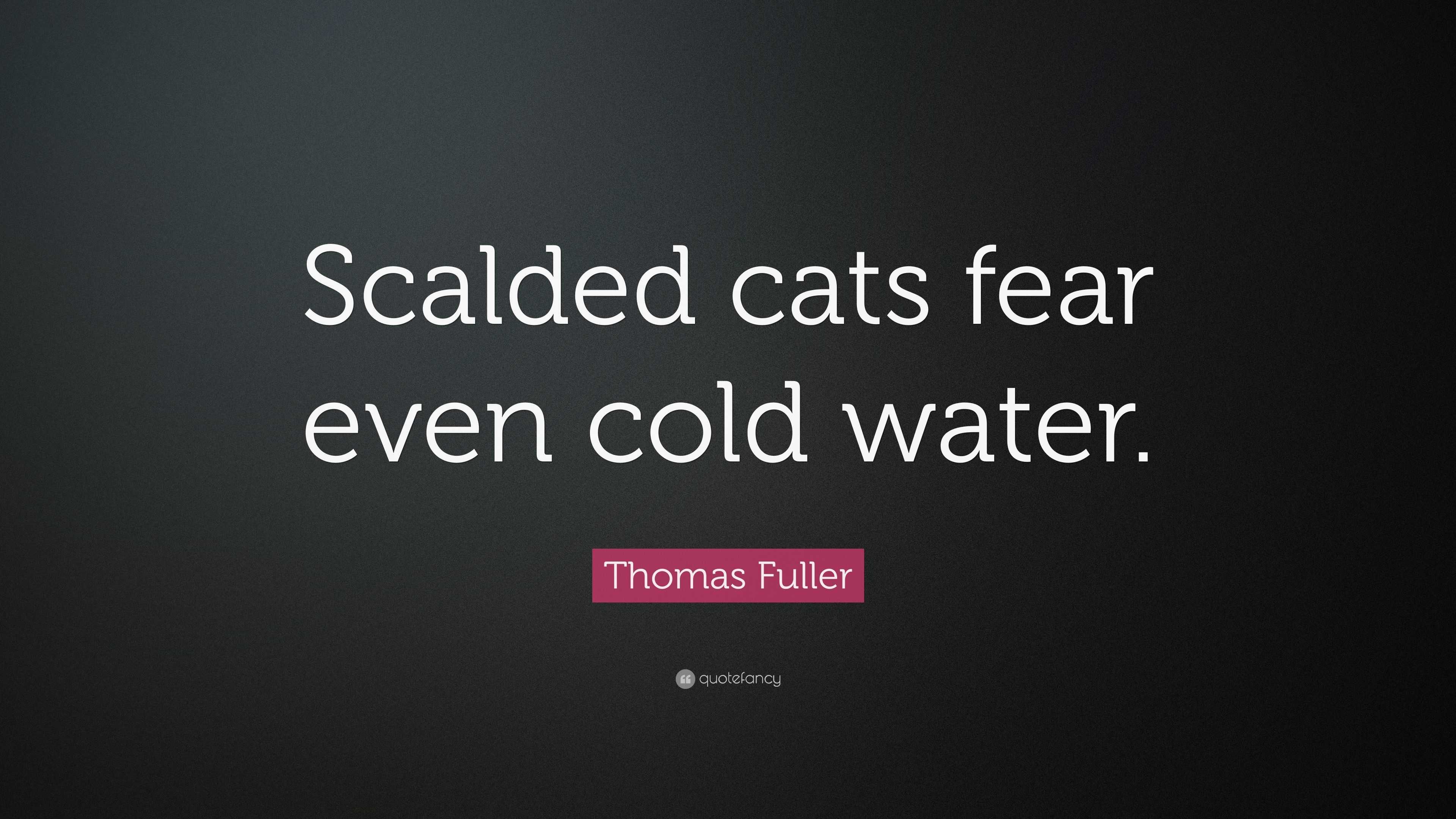 Thomas Fuller Quote: “Scalded cats fear even cold water.”