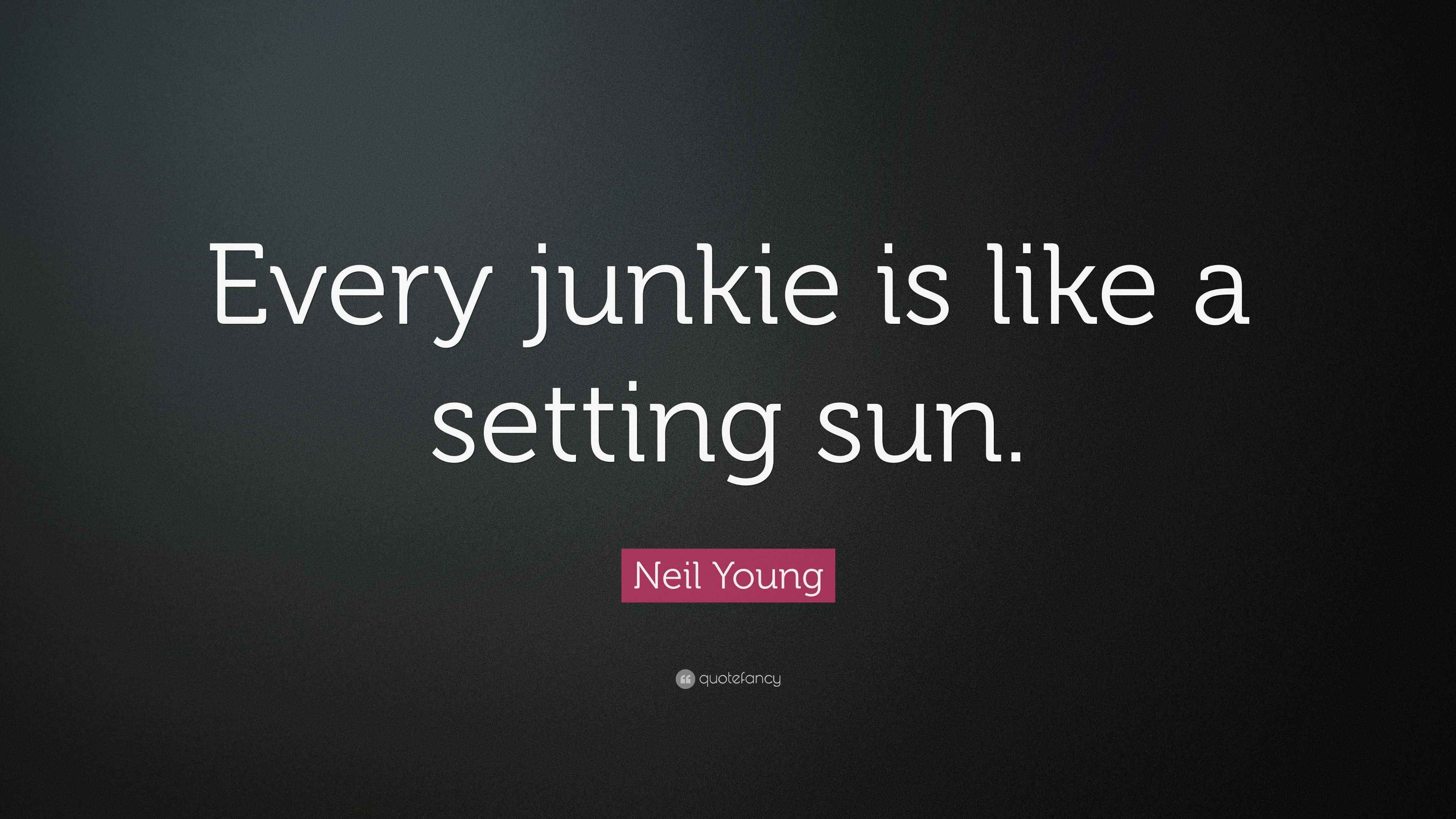 Neil Young Quote: “Every junkie is like a setting sun.”
