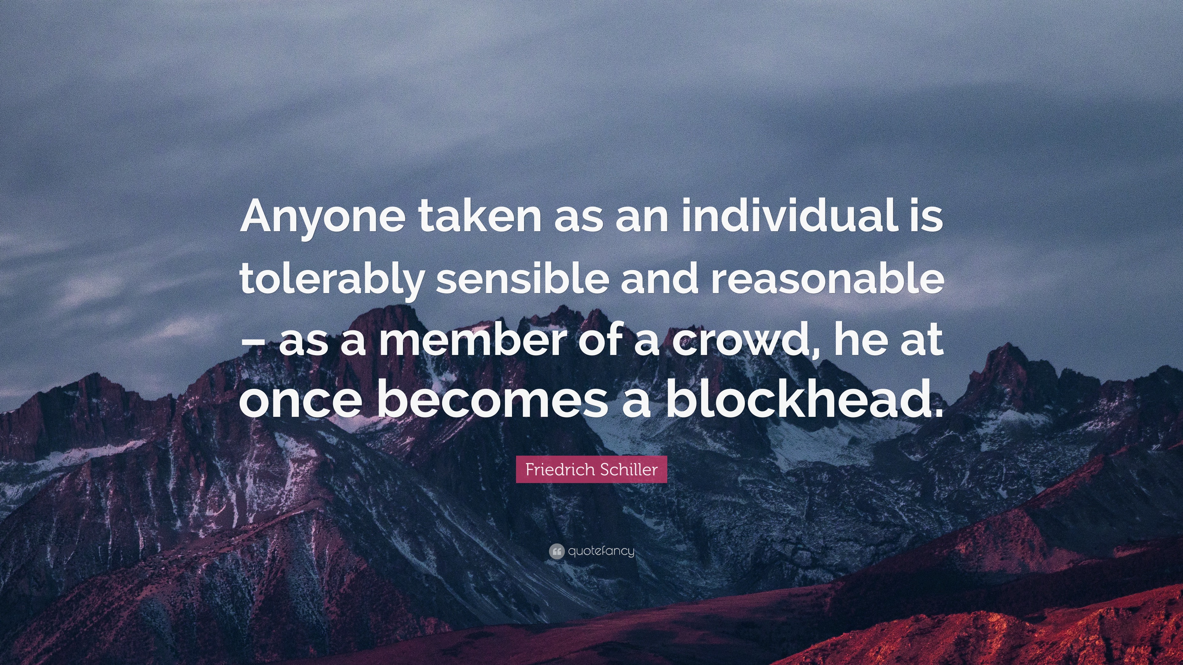 Friedrich Schiller Quote: “Anyone taken as an individual is tolerably ...