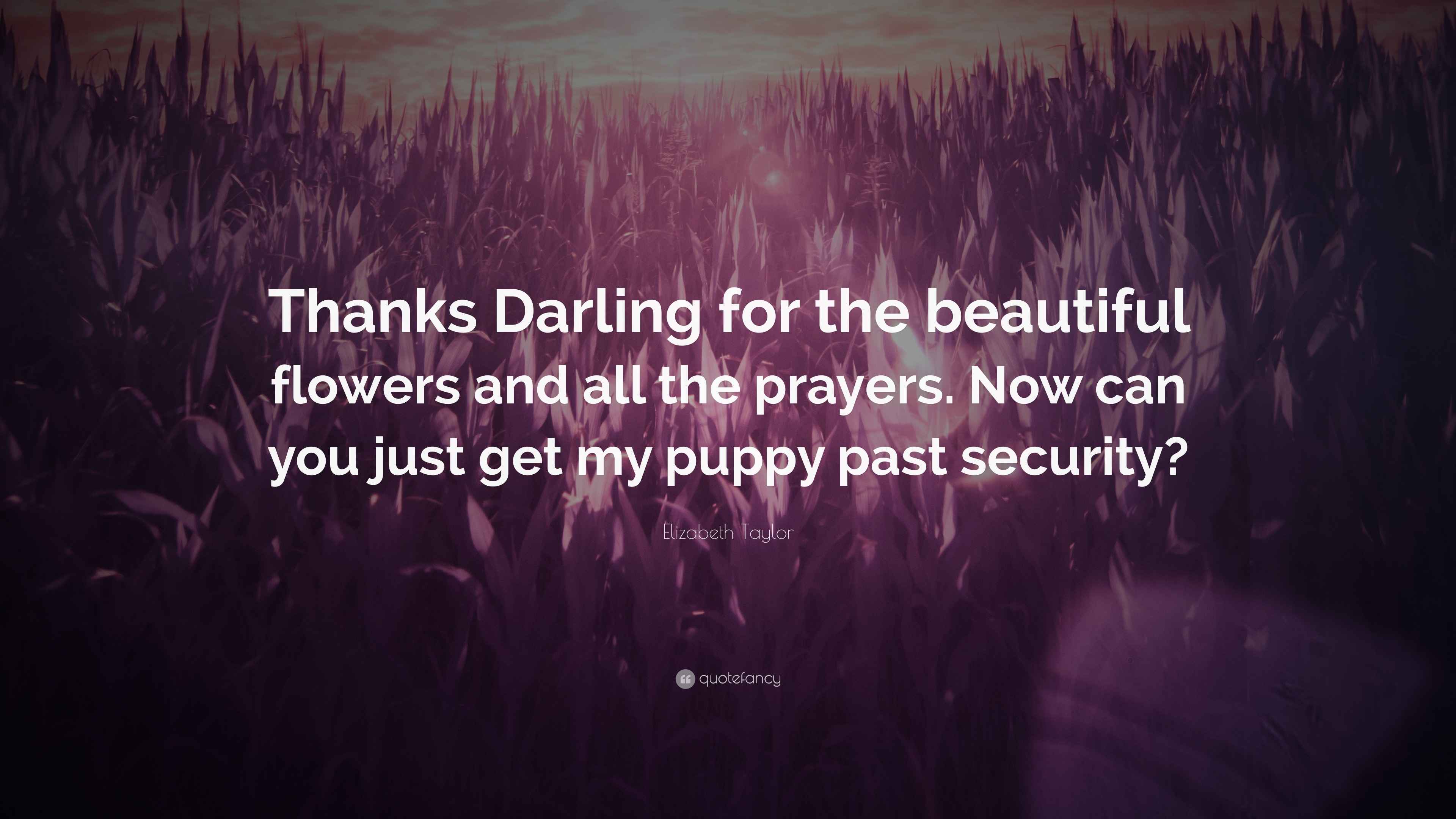 Elizabeth Taylor Quote: “Thanks Darling for the beautiful flowers and ...