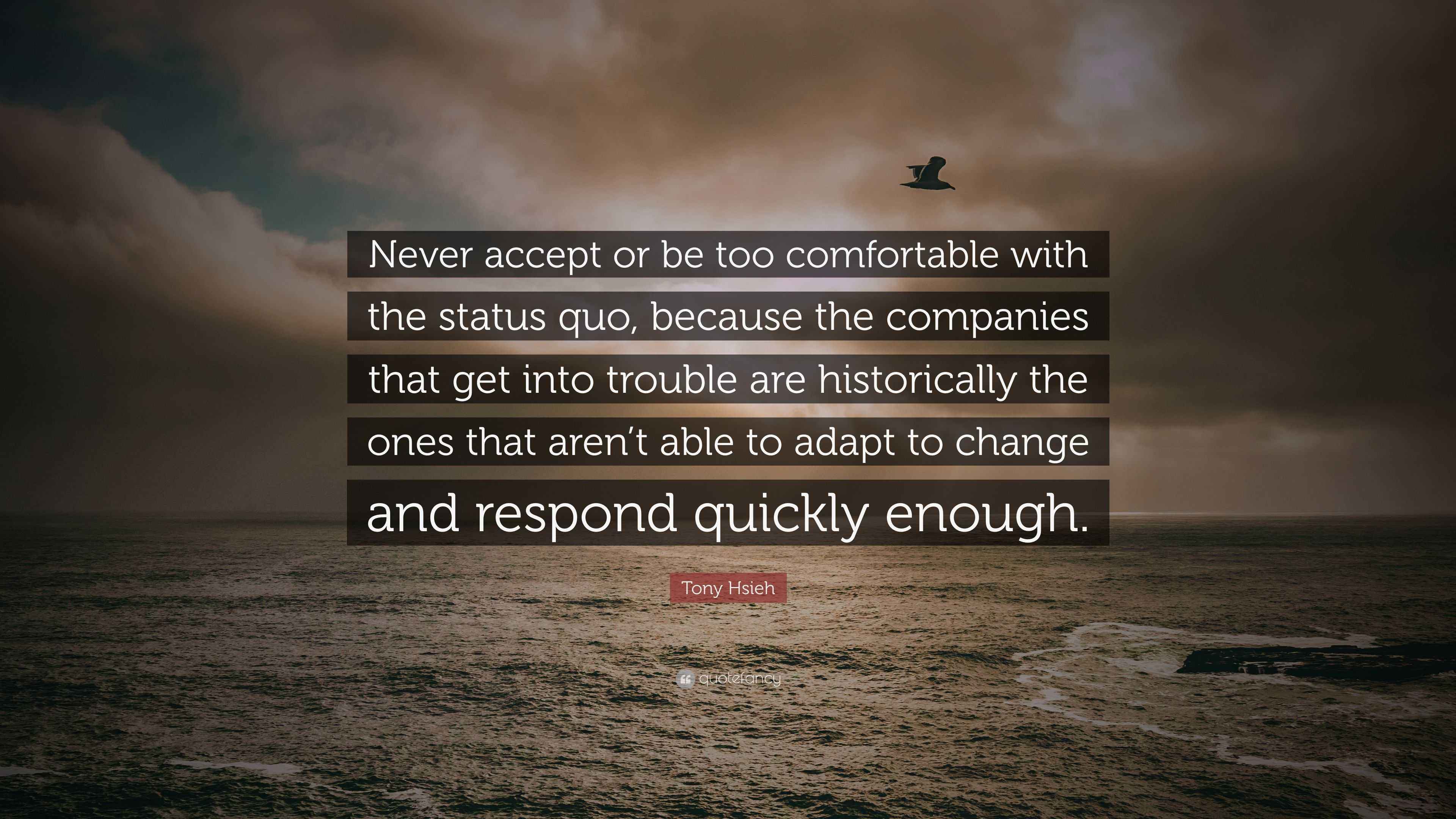 Tony Hsieh Quote: “Never accept or be too comfortable with the status ...