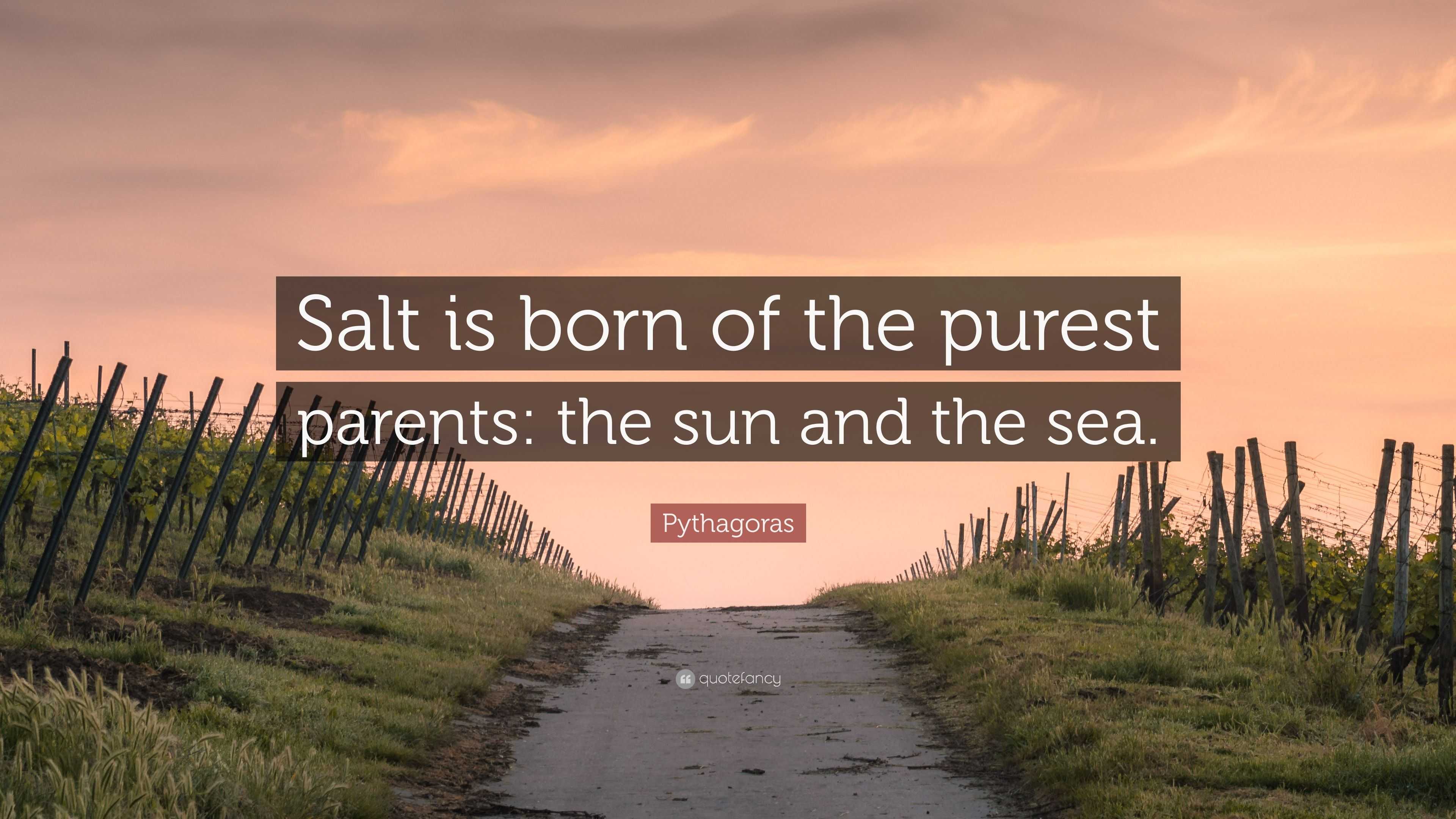 Pythagoras Quote: “Salt is born of the purest parents: the sun and the ...