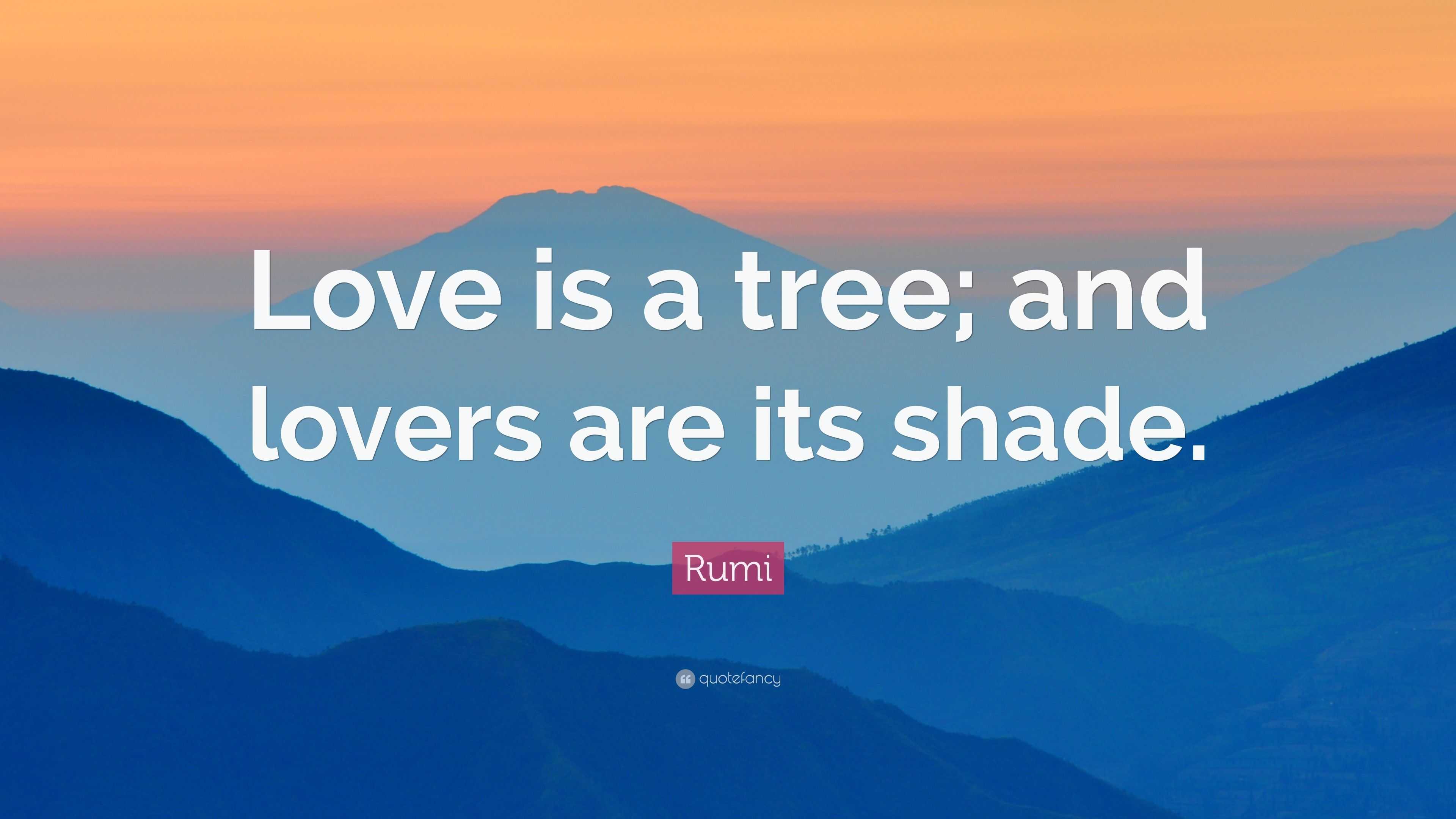 Rumi Quote: “Love is a tree; and lovers are its shade.”