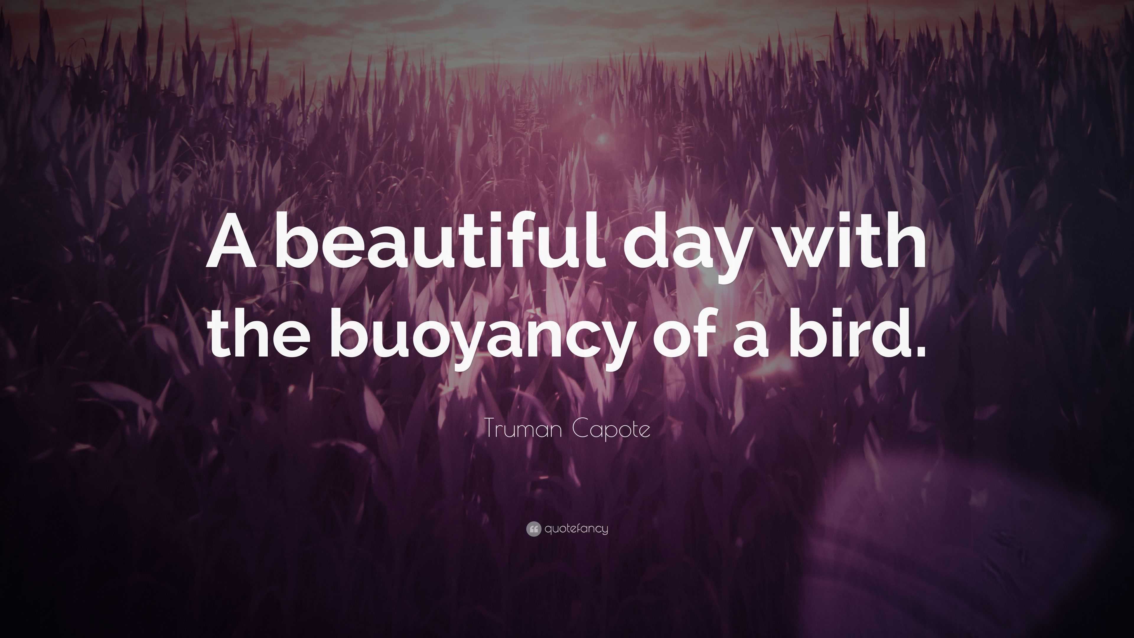 Truman Capote Quote: “A beautiful day with the buoyancy of a bird.”