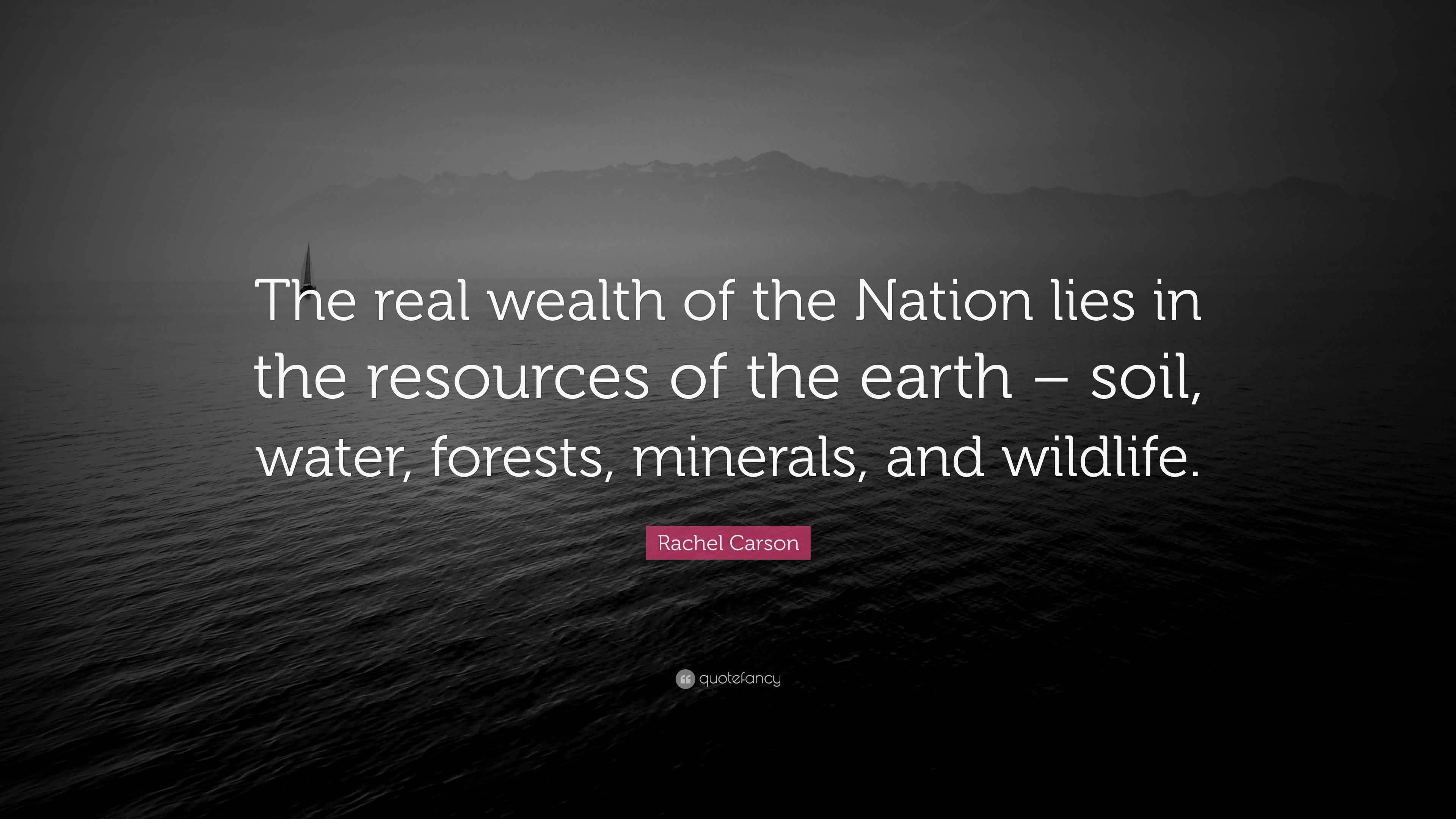 Rachel Carson Quote: “The real wealth of the Nation lies in the ...