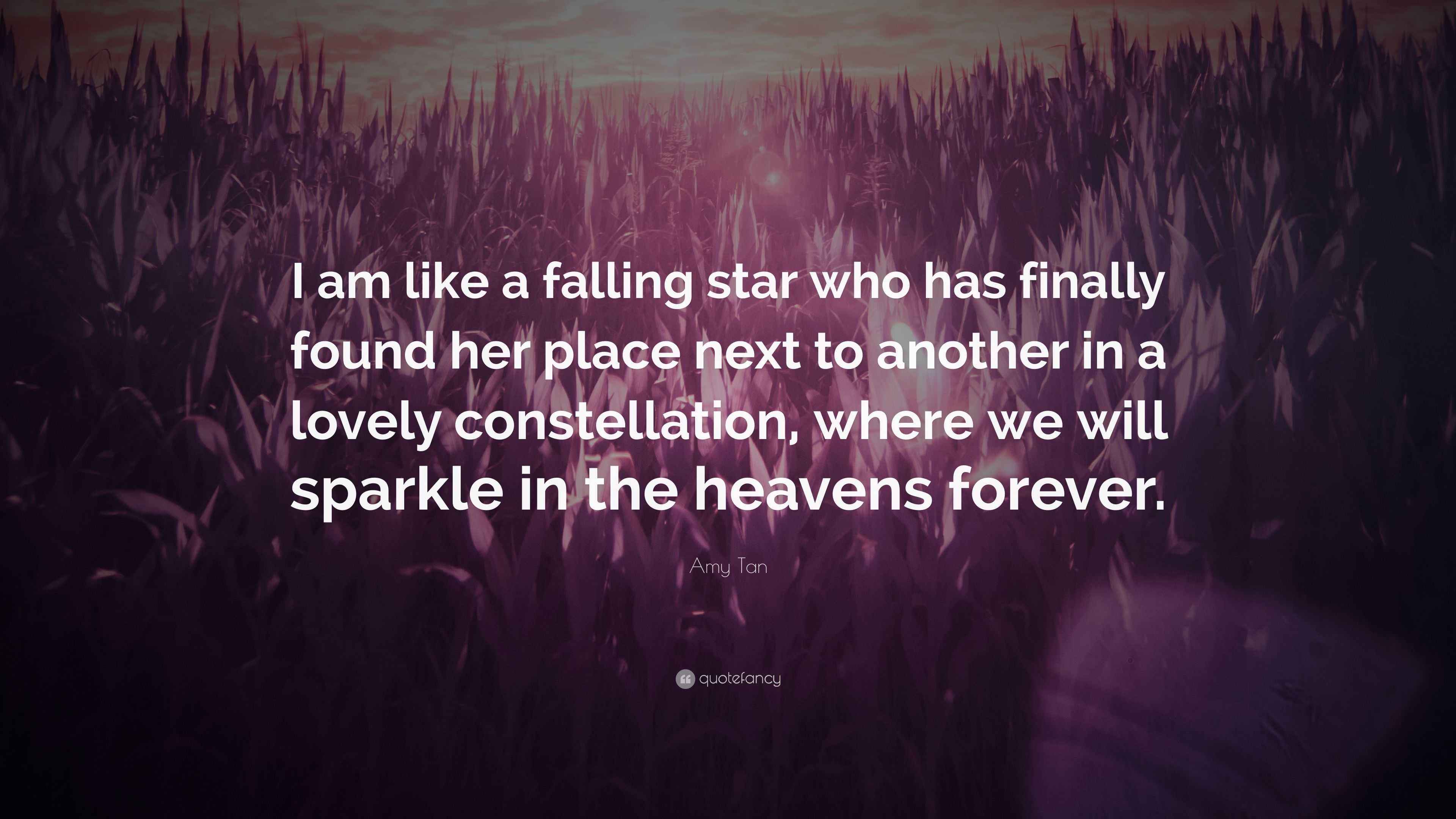 Amy Tan Quote: “I am like a falling star who has finally found her ...