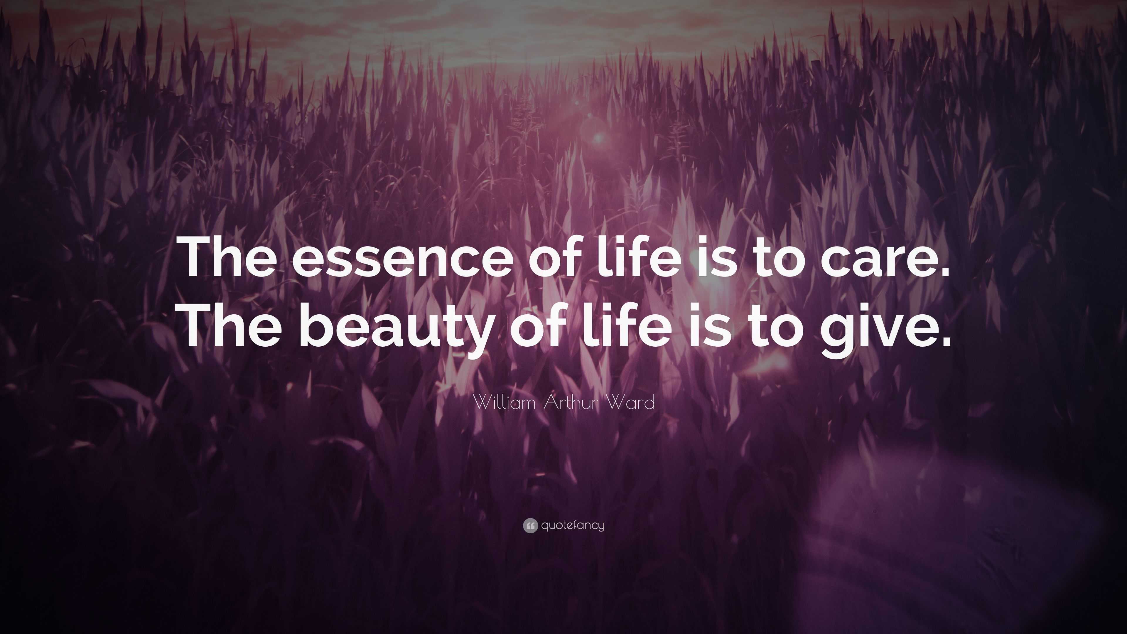 William Arthur Ward Quote: “The essence of life is to care. The beauty ...