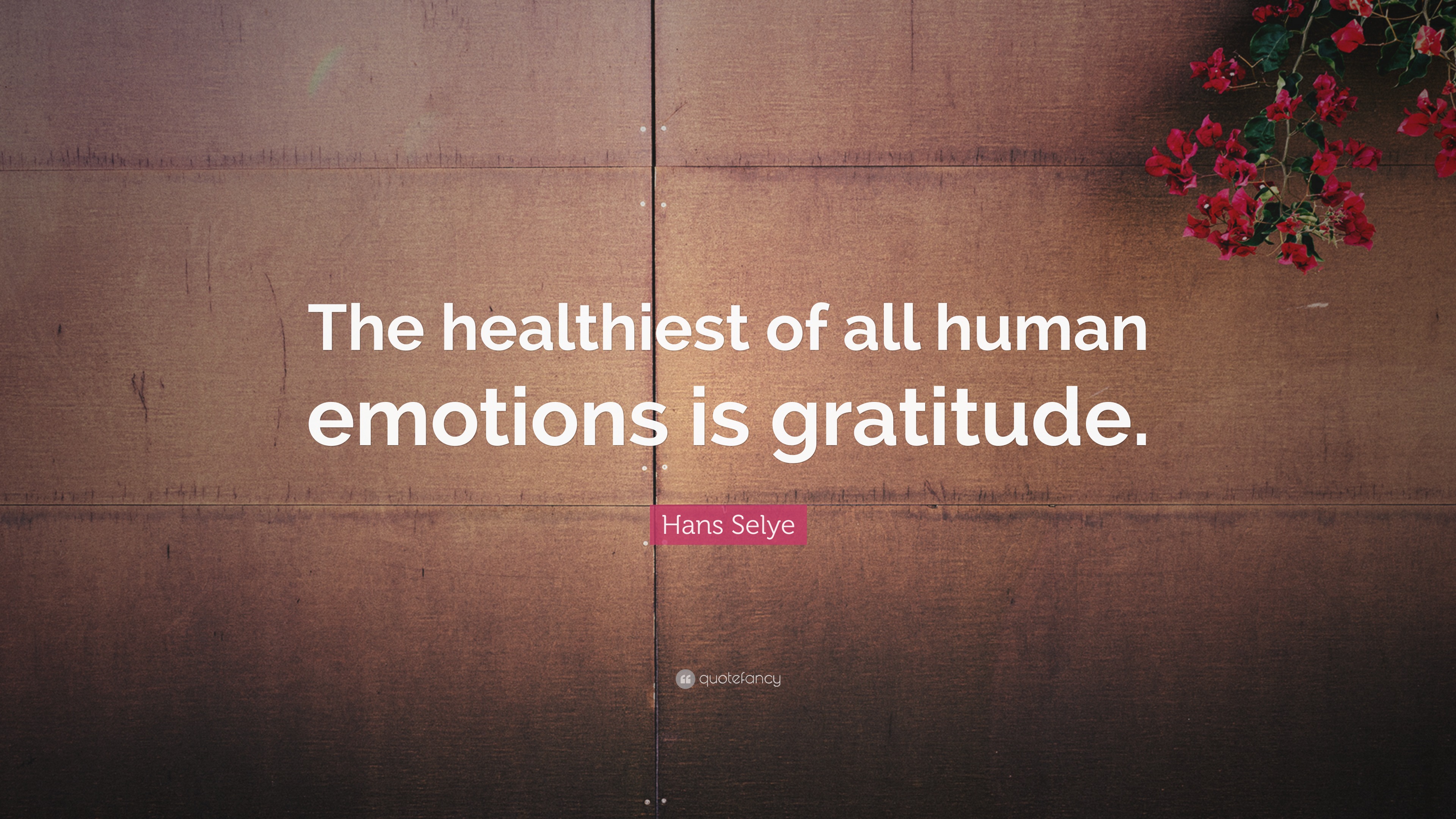 Hans Selye Quote: “The healthiest of all human emotions is gratitude.”