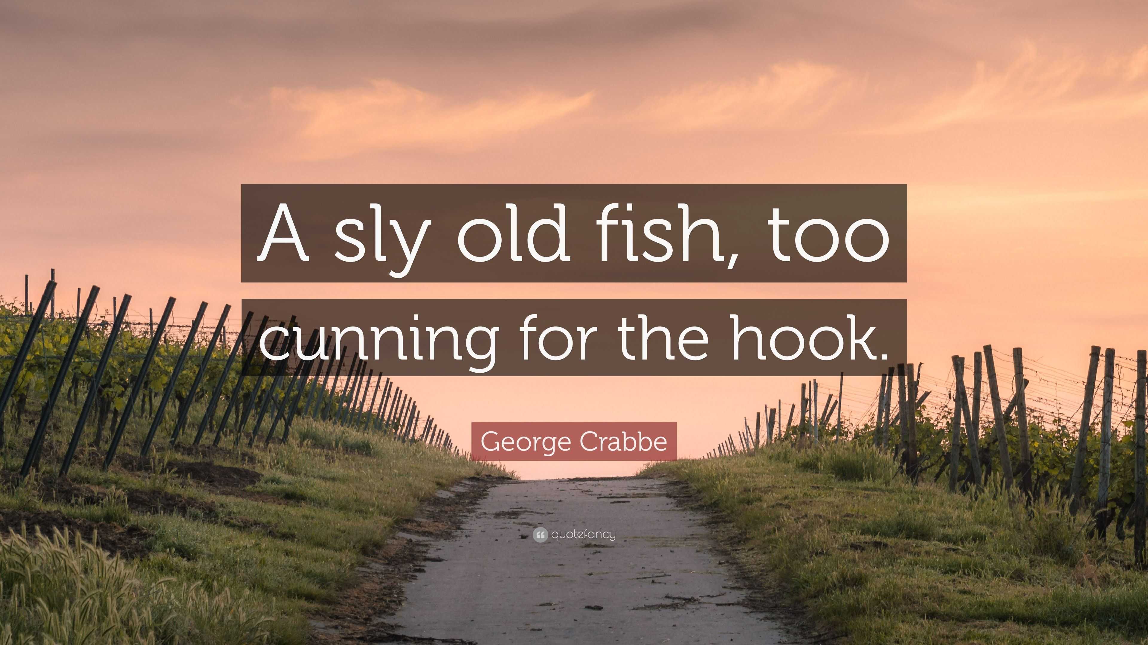 George Crabbe Quote: “A sly old fish, too cunning for the hook.”
