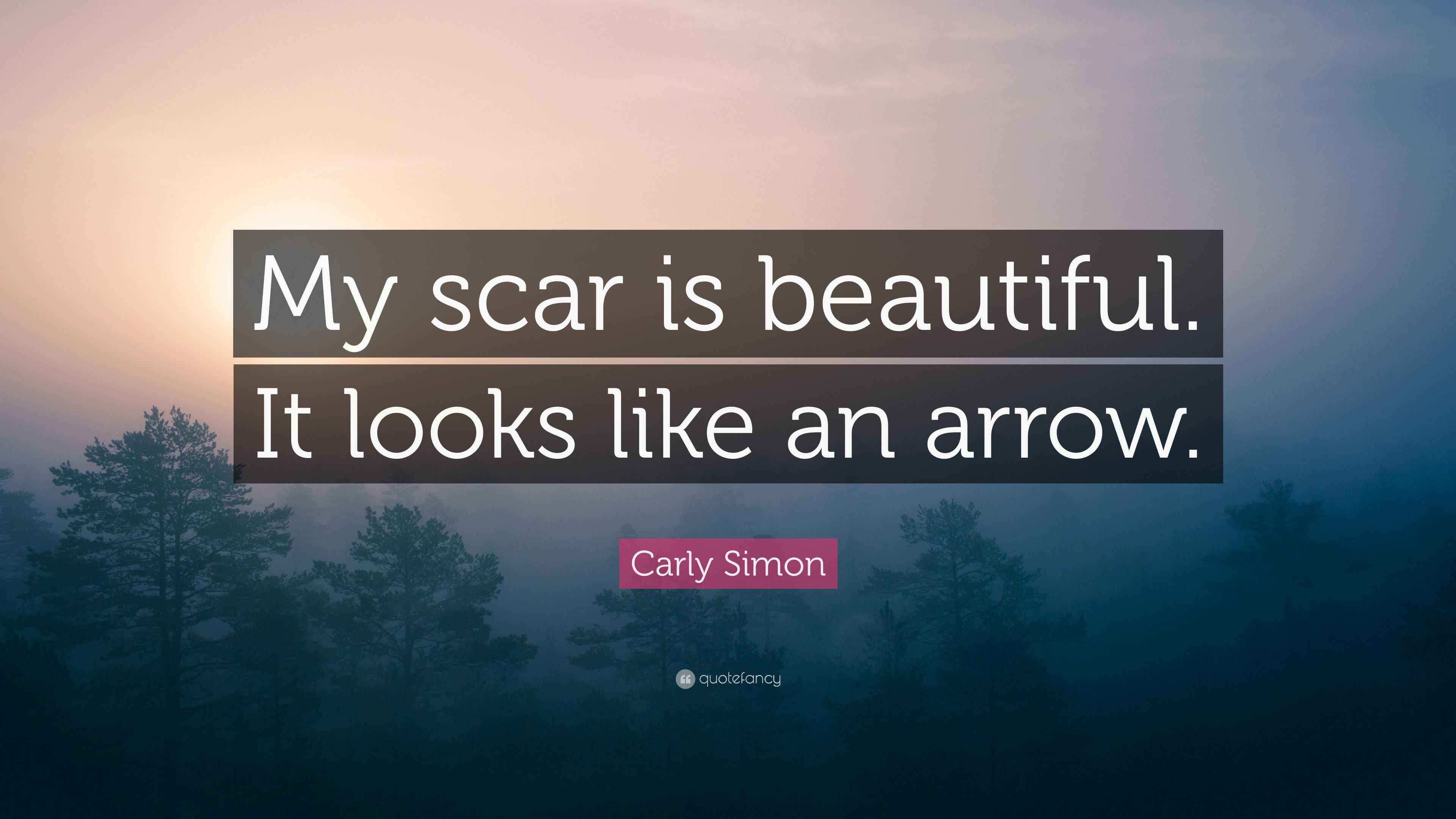 Beautiful Scar Quotes