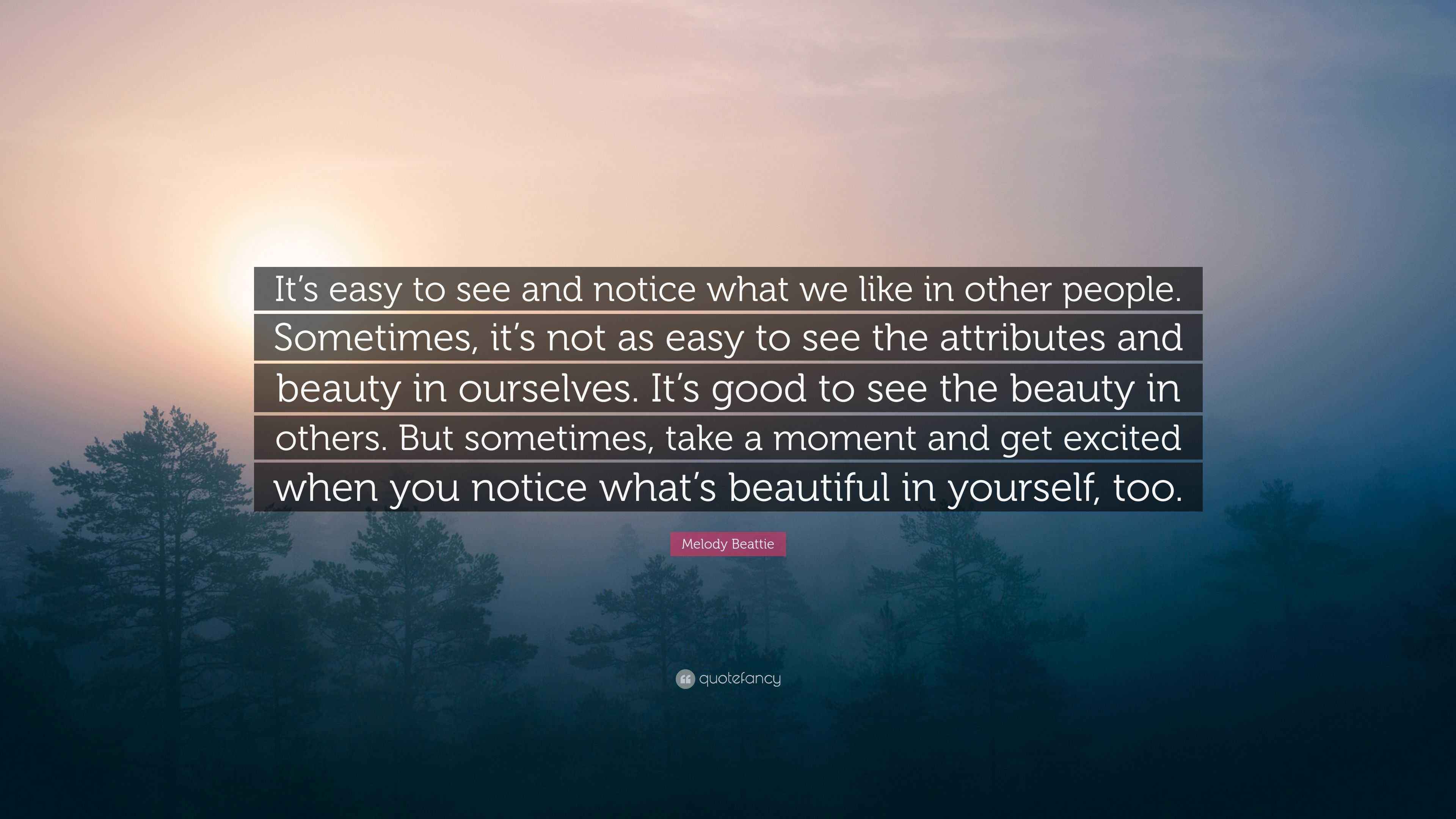 Melody Beattie Quote: “It’s easy to see and notice what we like in ...