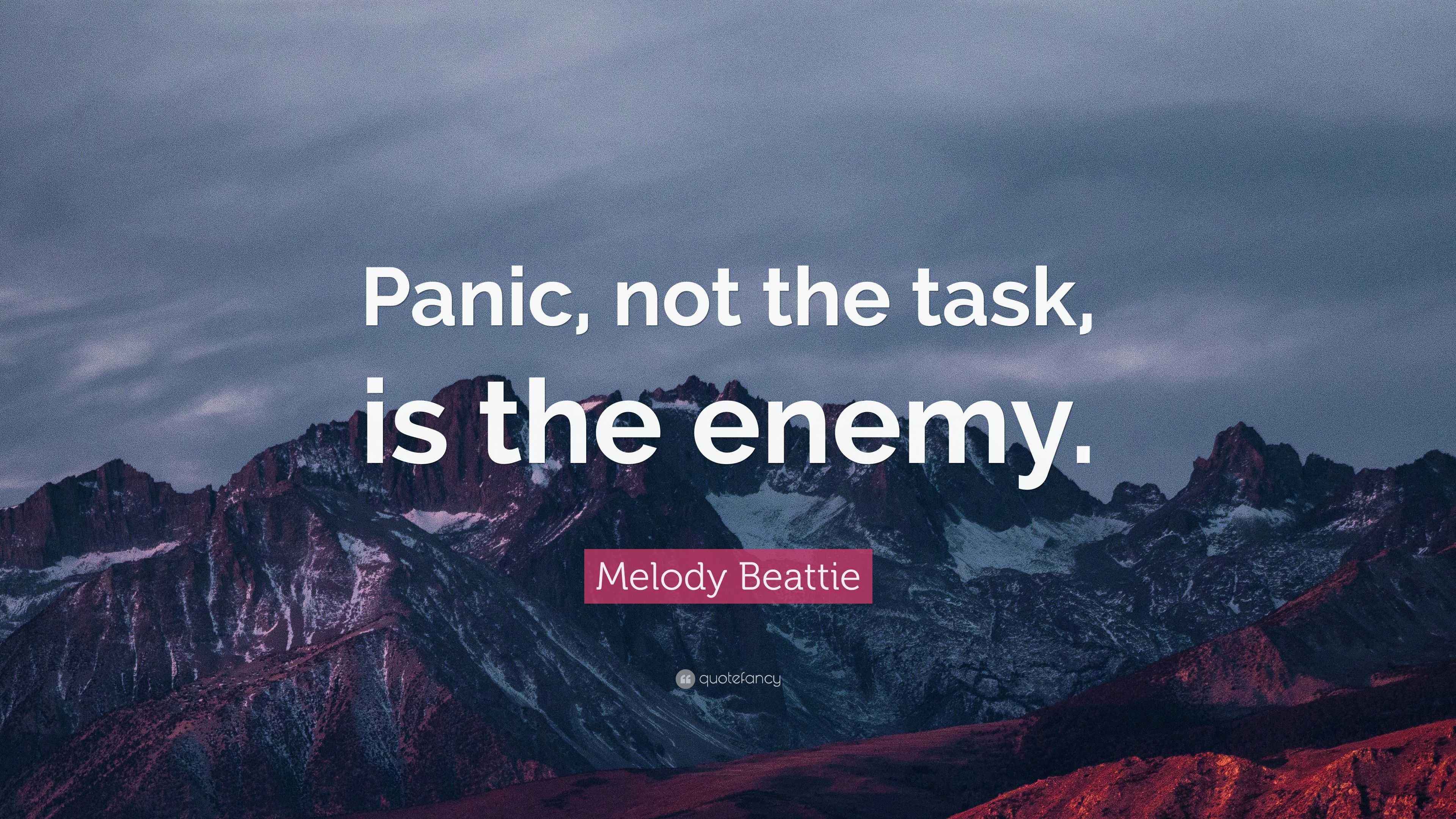 Melody Beattie Quote: “Panic, not the task, is the enemy.”