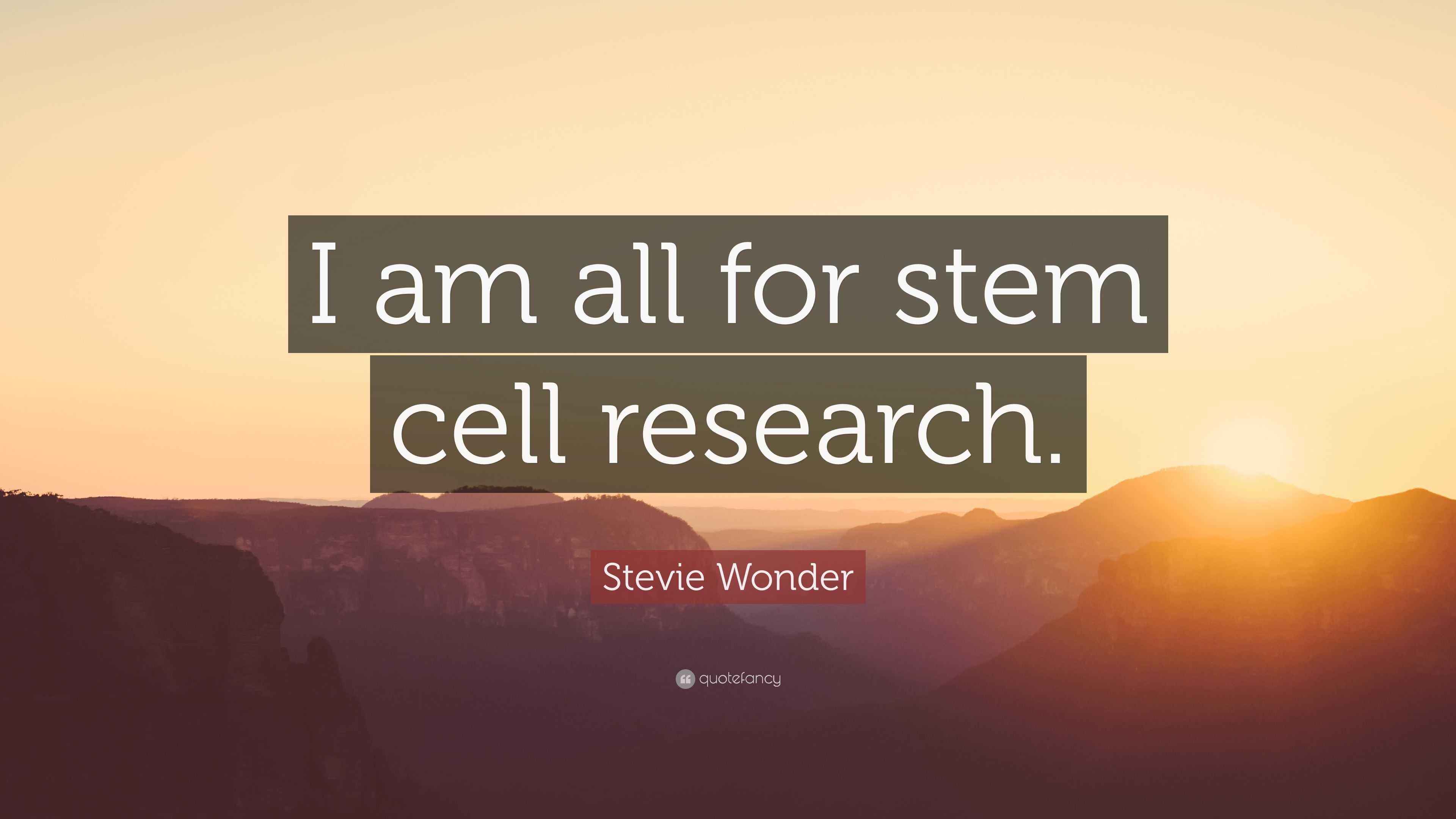 Stevie Wonder Quote: “I am all for stem cell research.”