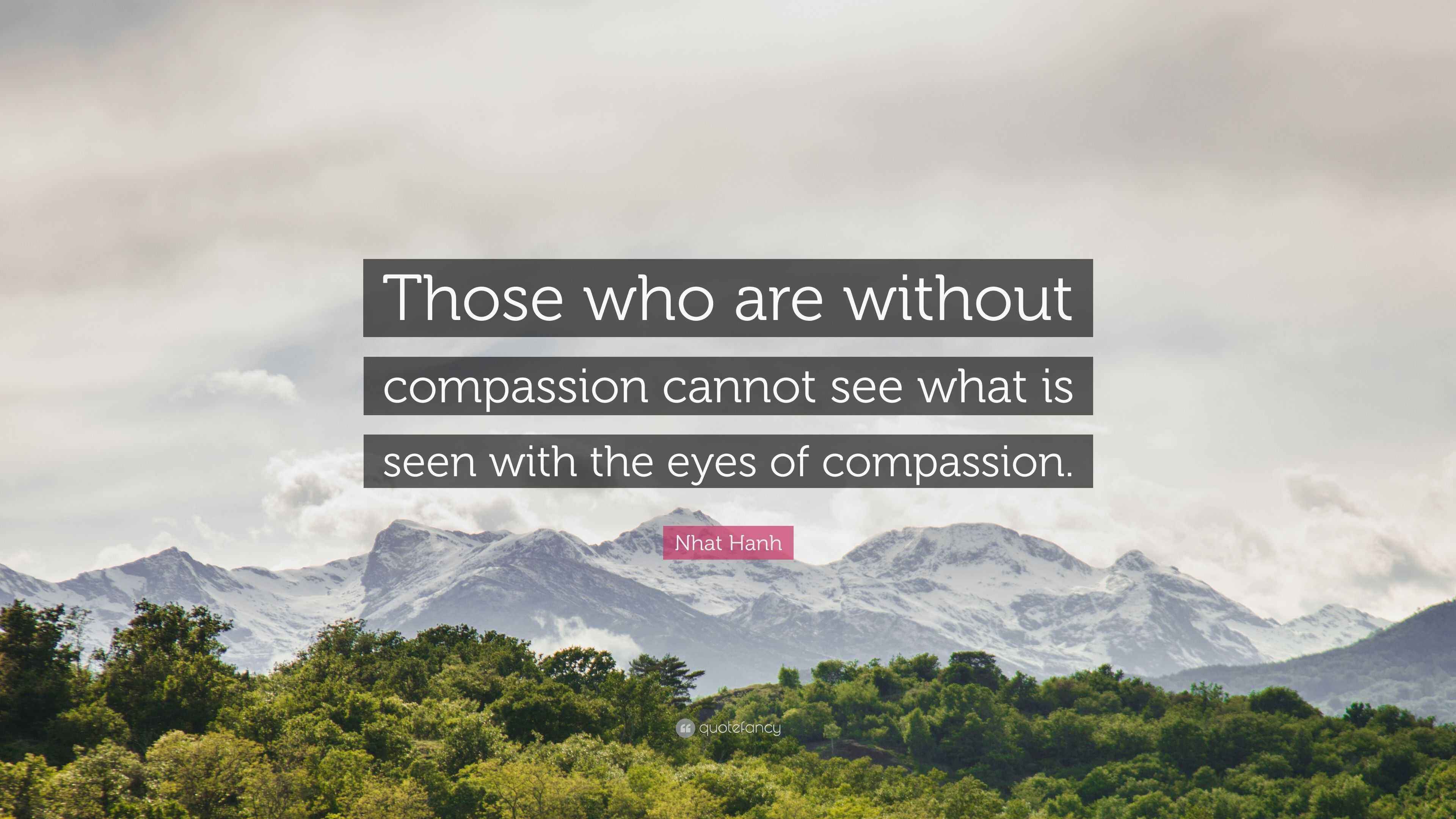 Nhat Hanh Quote: “Those who are without compassion cannot see what is ...