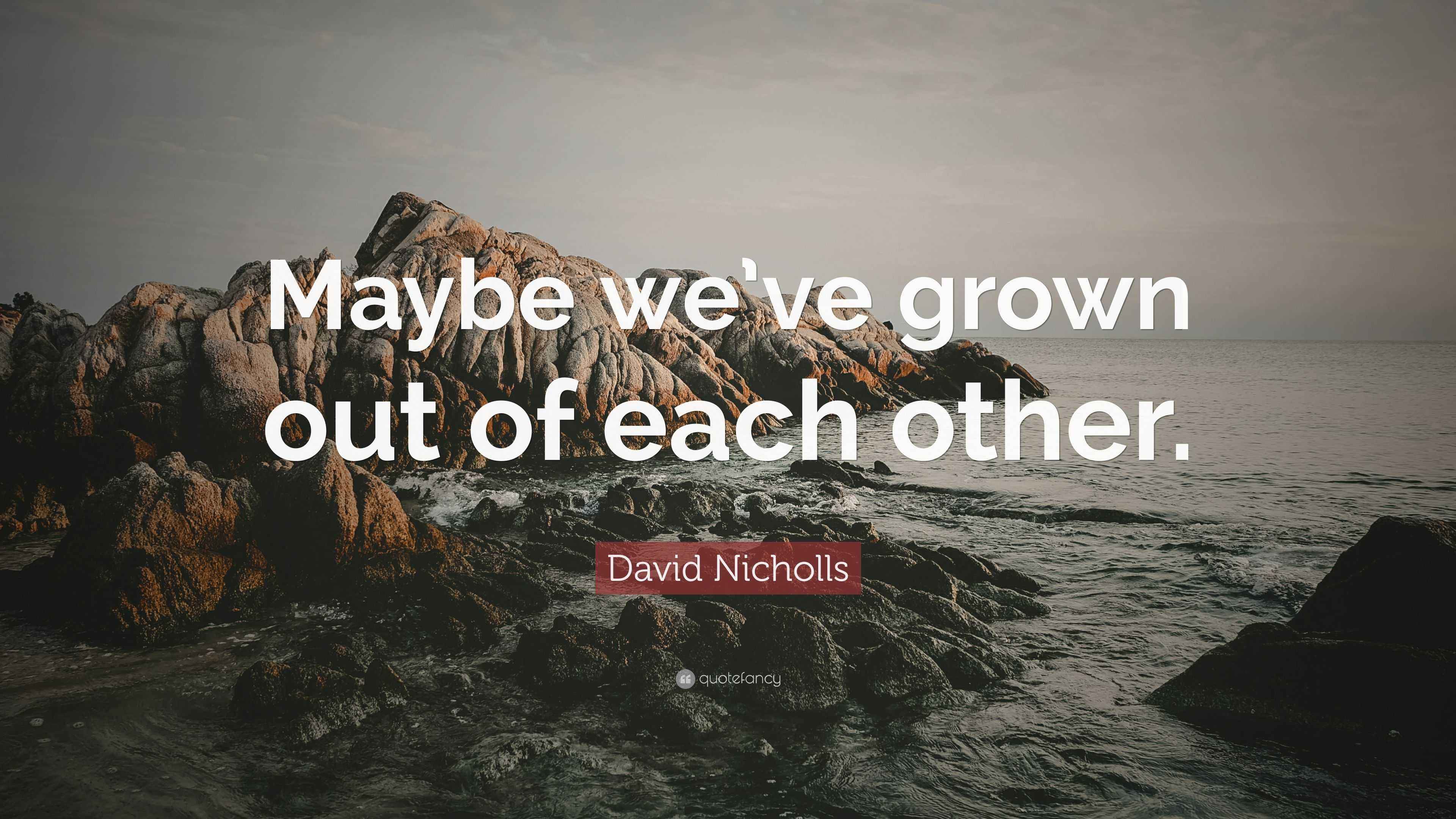 David Nicholls Quote: “Maybe we’ve grown out of each other.”
