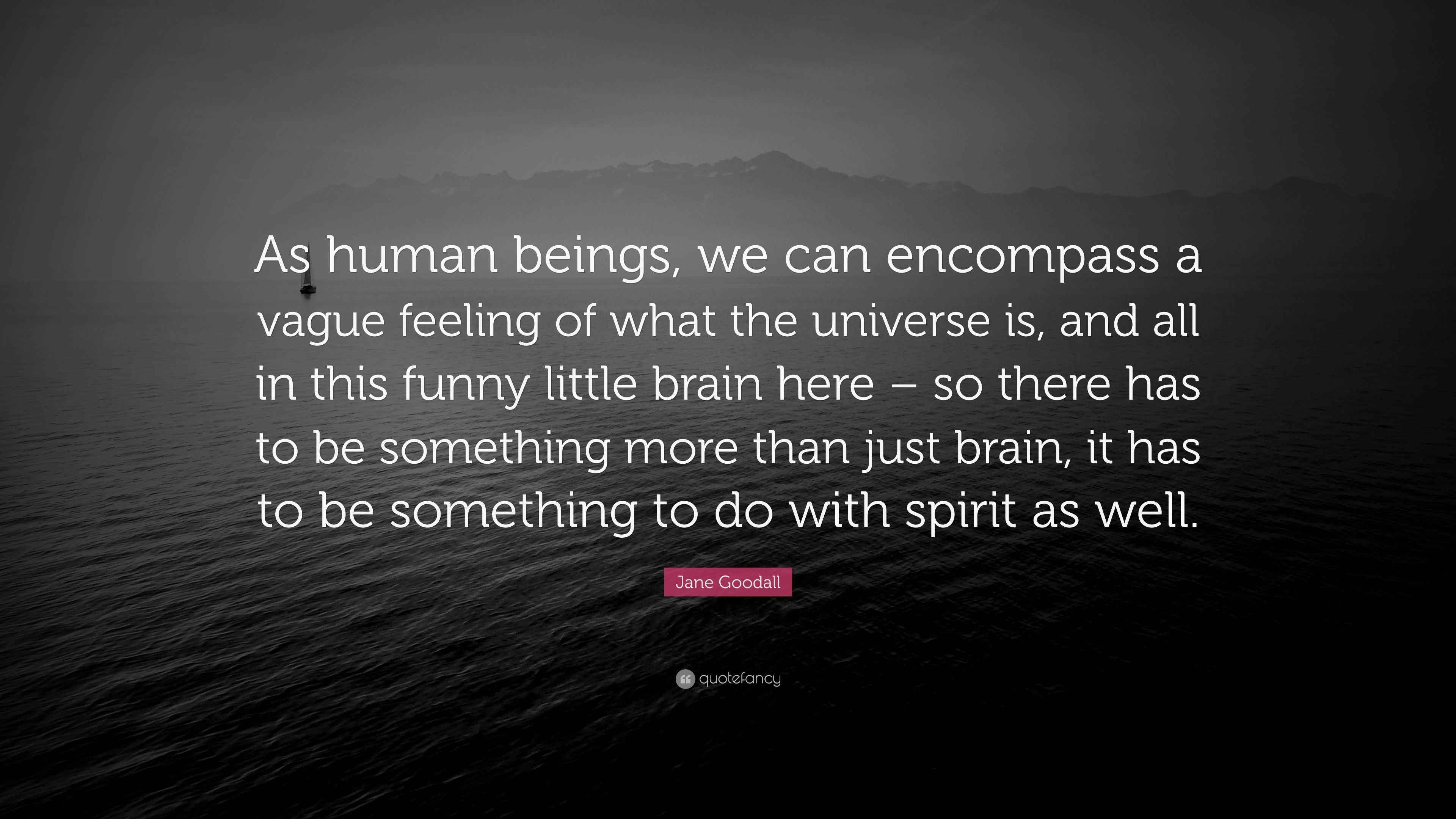 Jane Goodall Quote: “As human beings, we can encompass a vague feeling ...