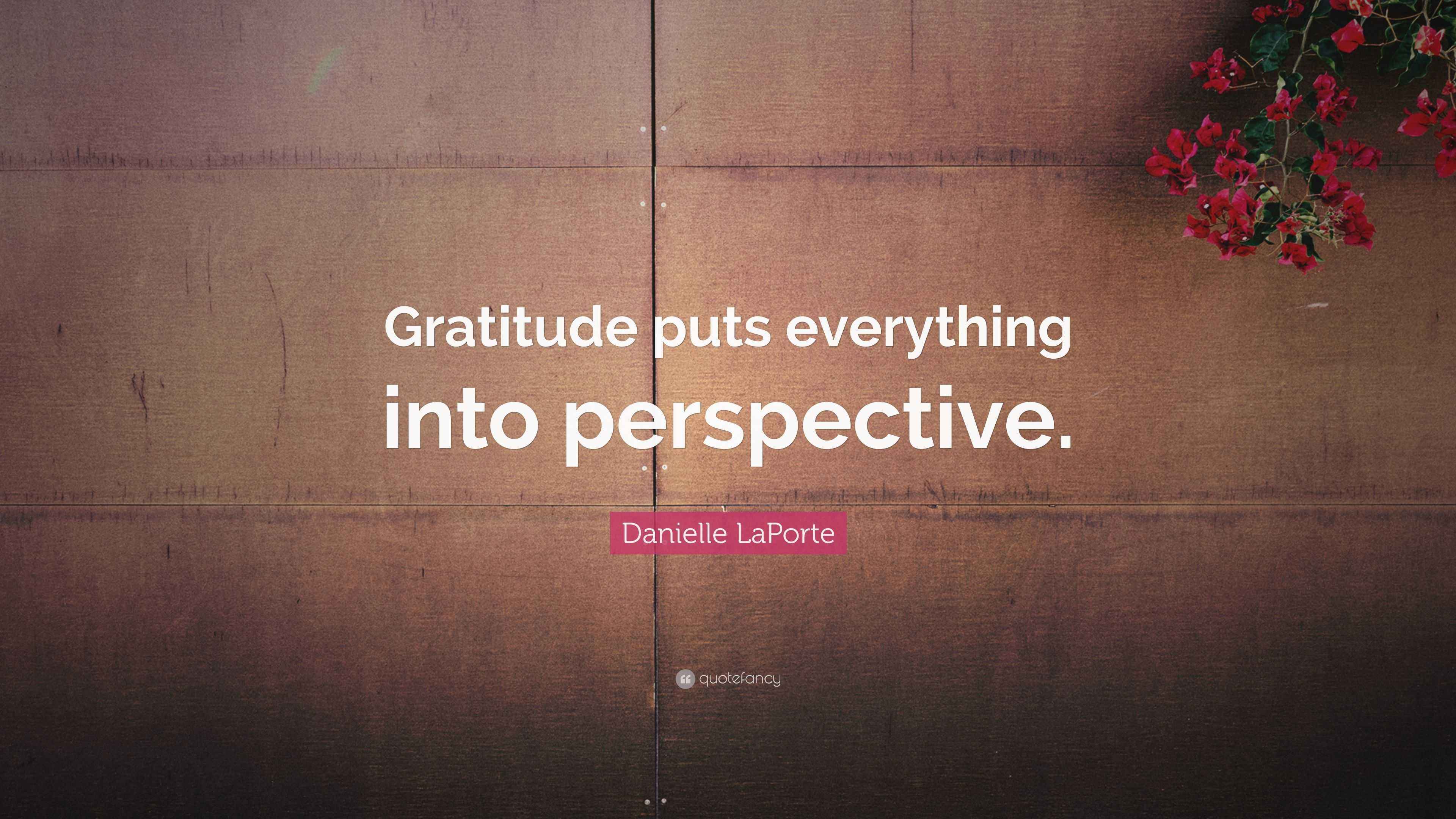 Danielle LaPorte Quote: “Gratitude puts everything into perspective.”
