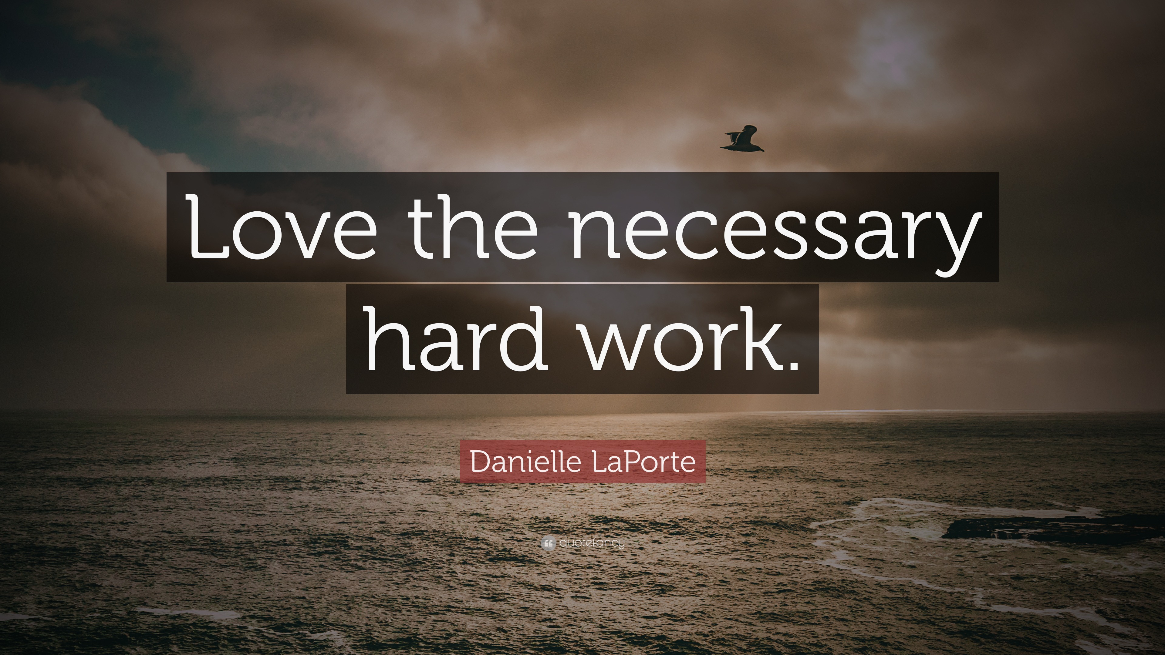 Danielle LaPorte Quote: “Love the necessary hard work.”