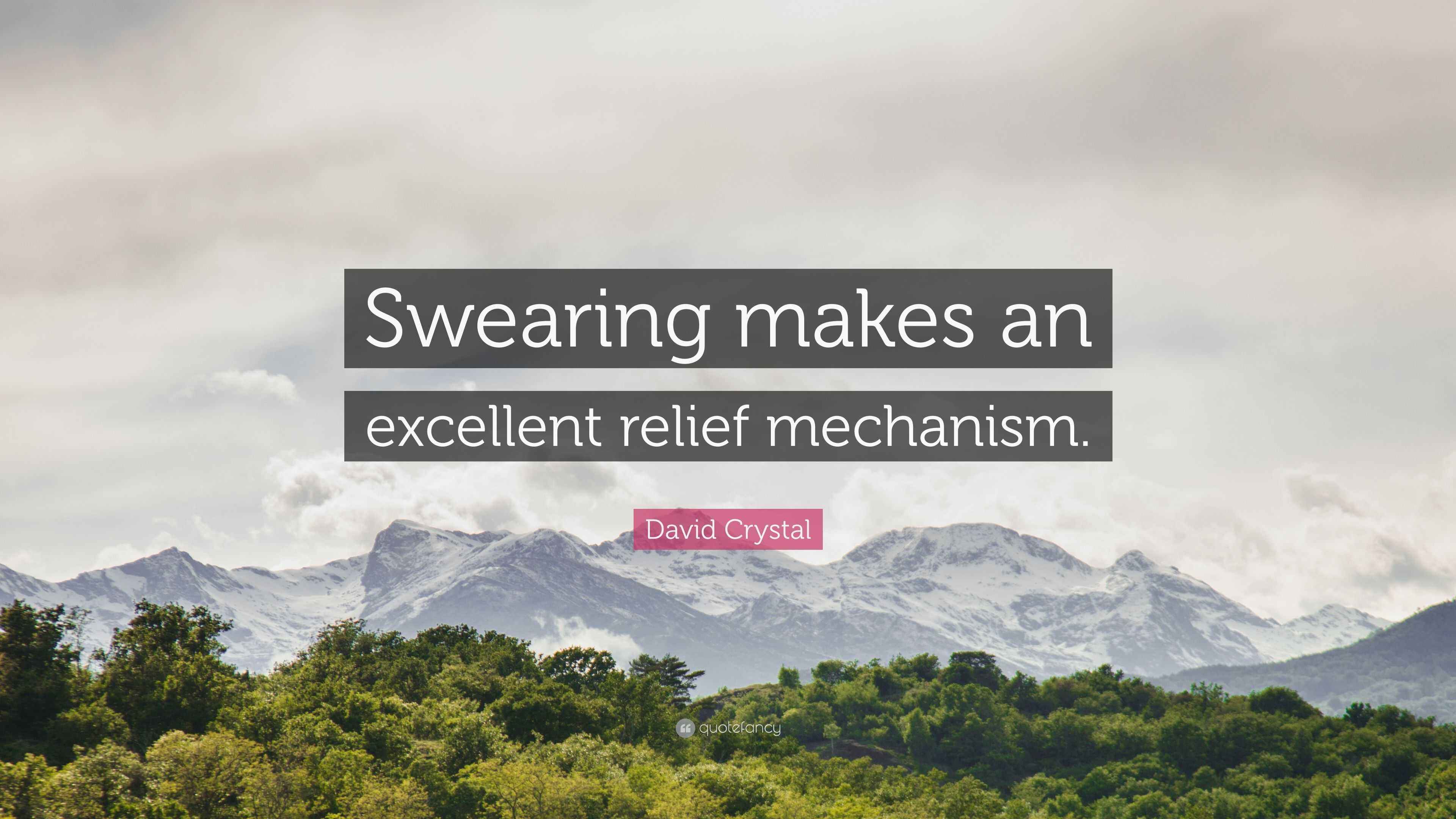 David Crystal Quote: “Swearing makes an excellent relief mechanism.”