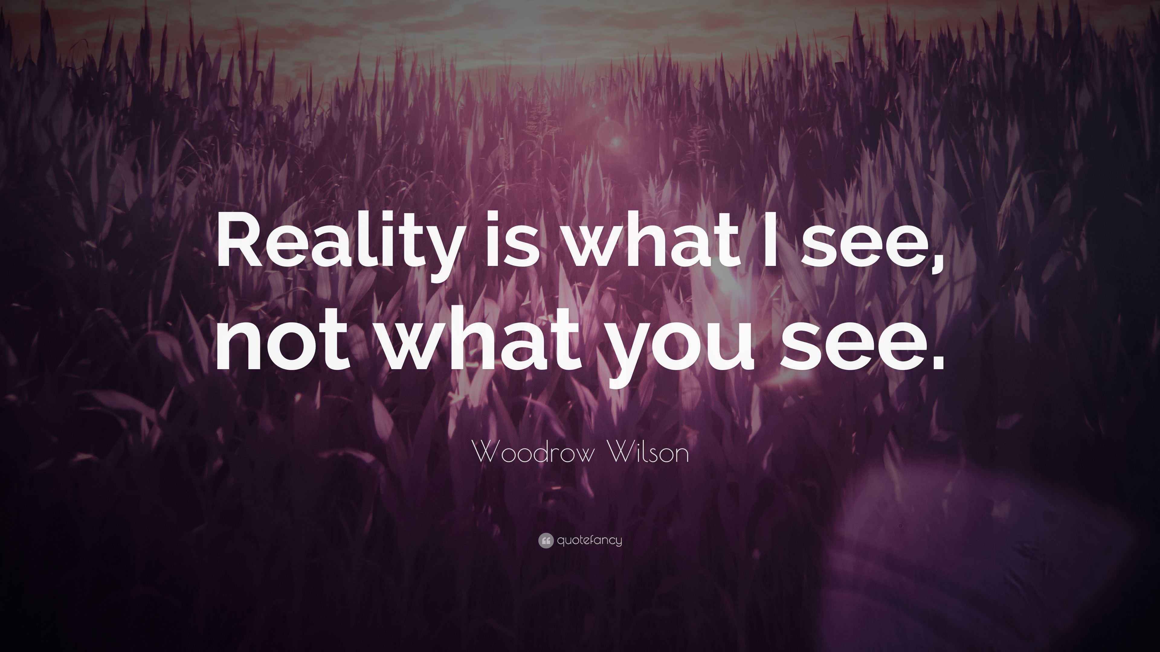 Woodrow Wilson Quote: “Reality is what I see, not what you see.”