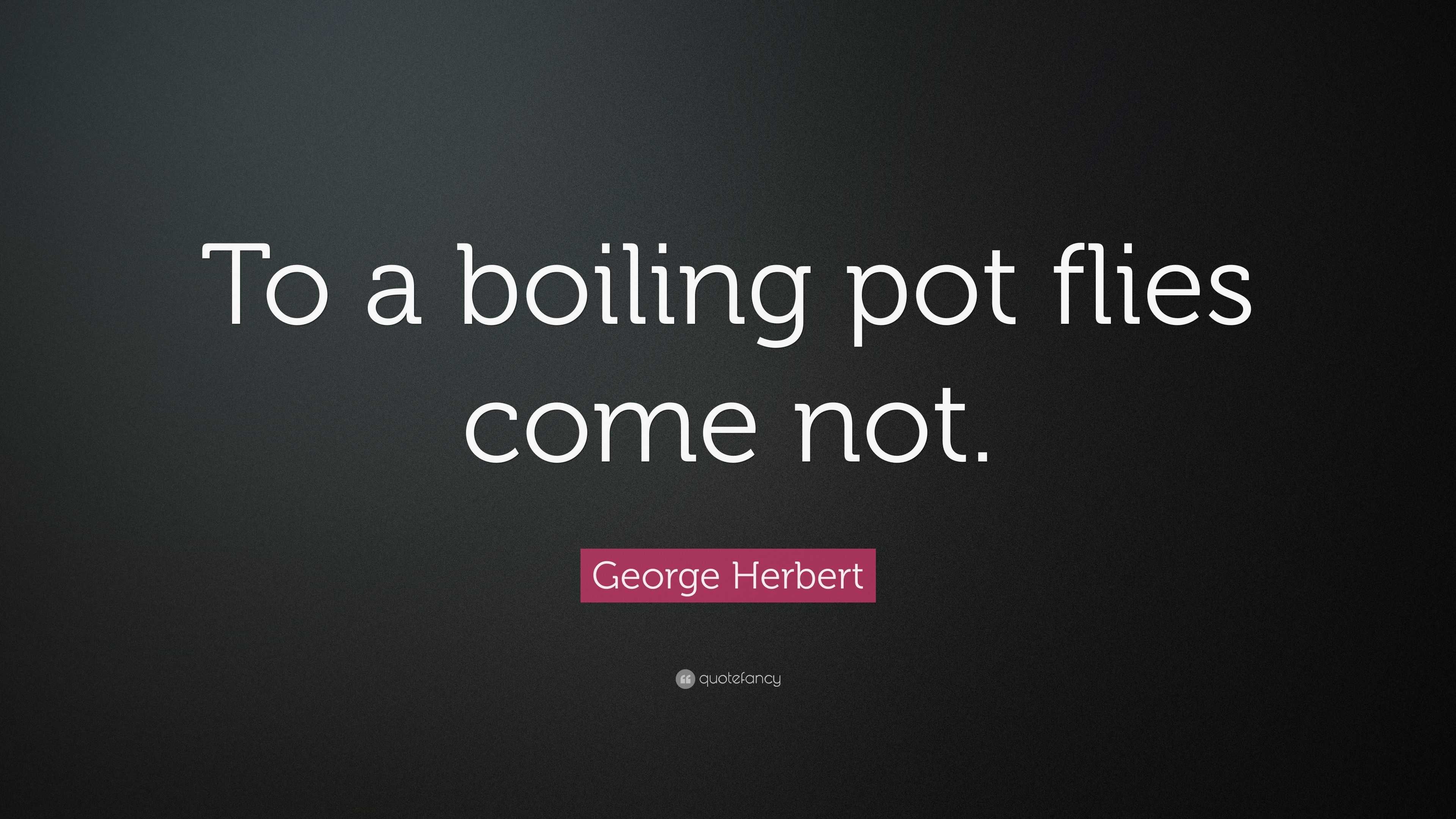 George Herbert Quote: “To a boiling pot flies come not.”