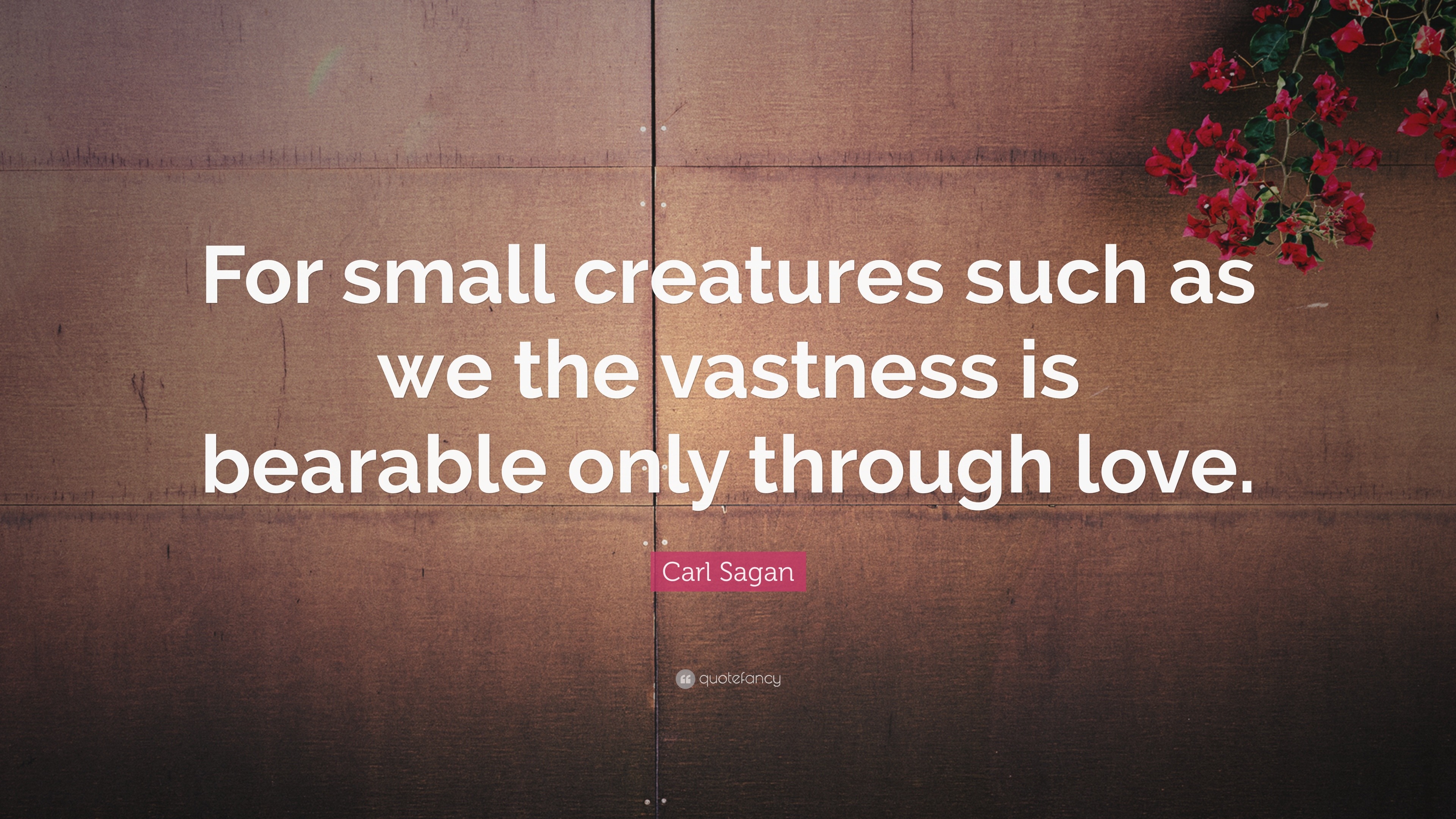 Carl Sagan Quote: “For small creatures such as we the vastness is ...