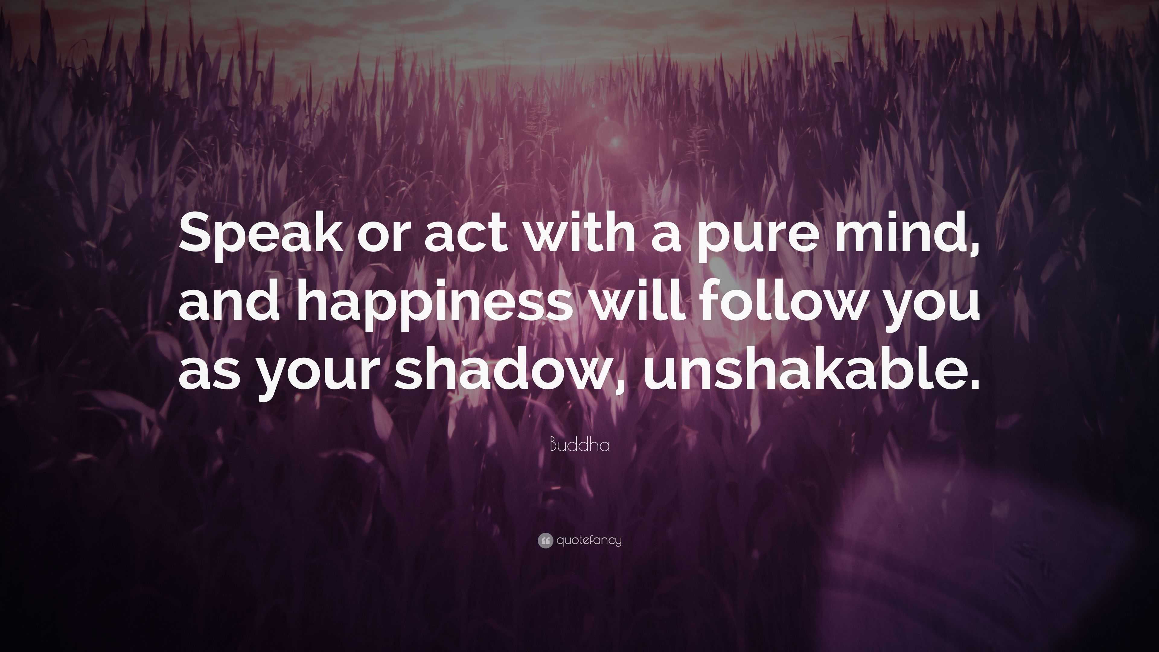 Buddha Quote: “Speak or act with a pure mind, and happiness will follow ...