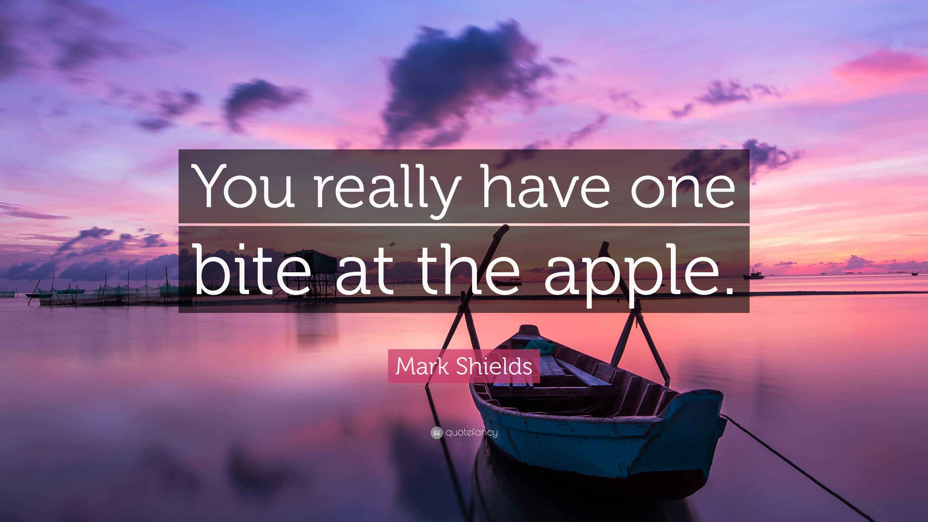 Mark Shields Quote: “You really have one bite at the apple.”