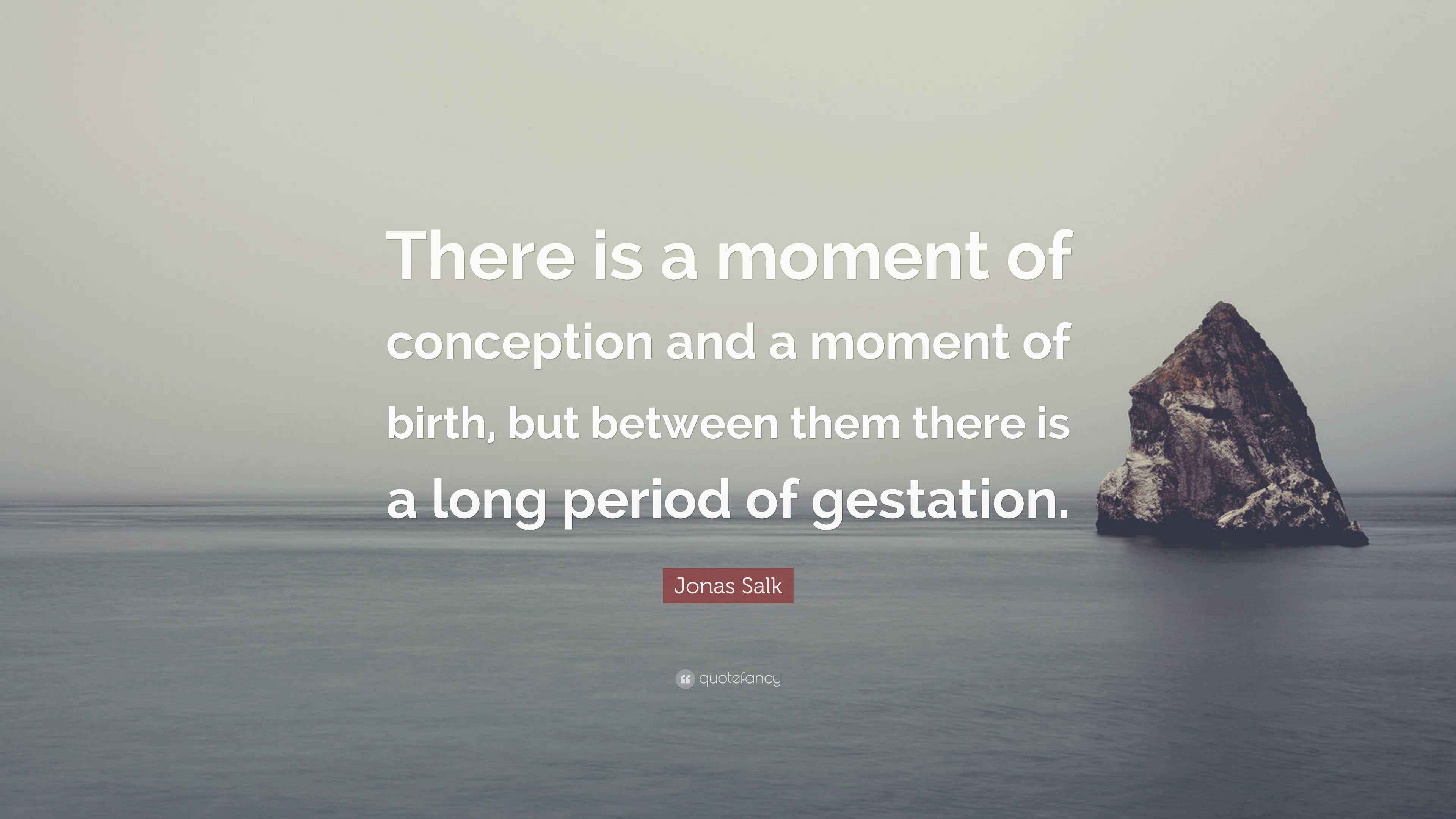 Jonas Salk Quote: “There is a moment of conception and a moment of ...