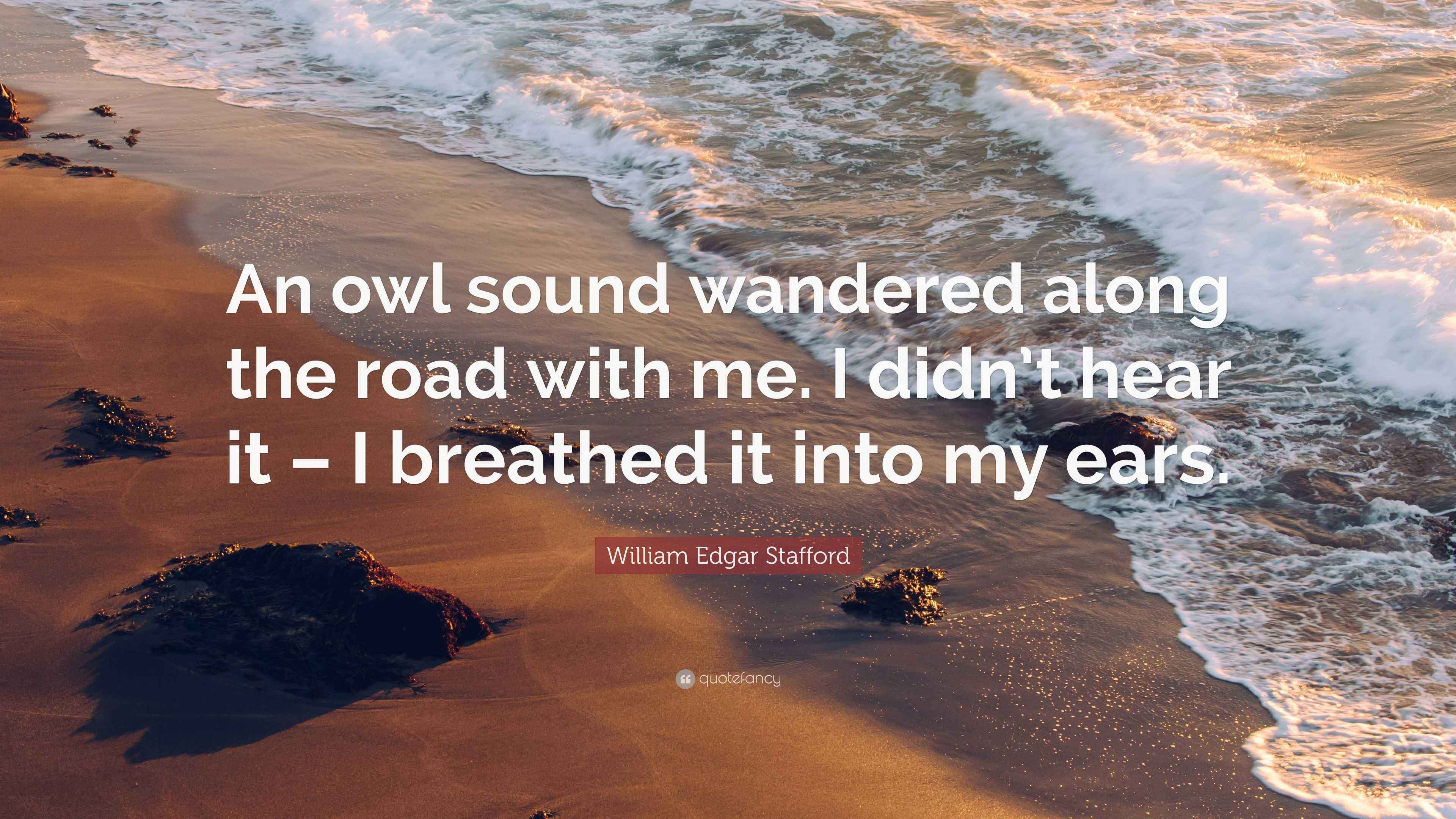 William Edgar Stafford Quote: “An owl sound wandered along the road ...
