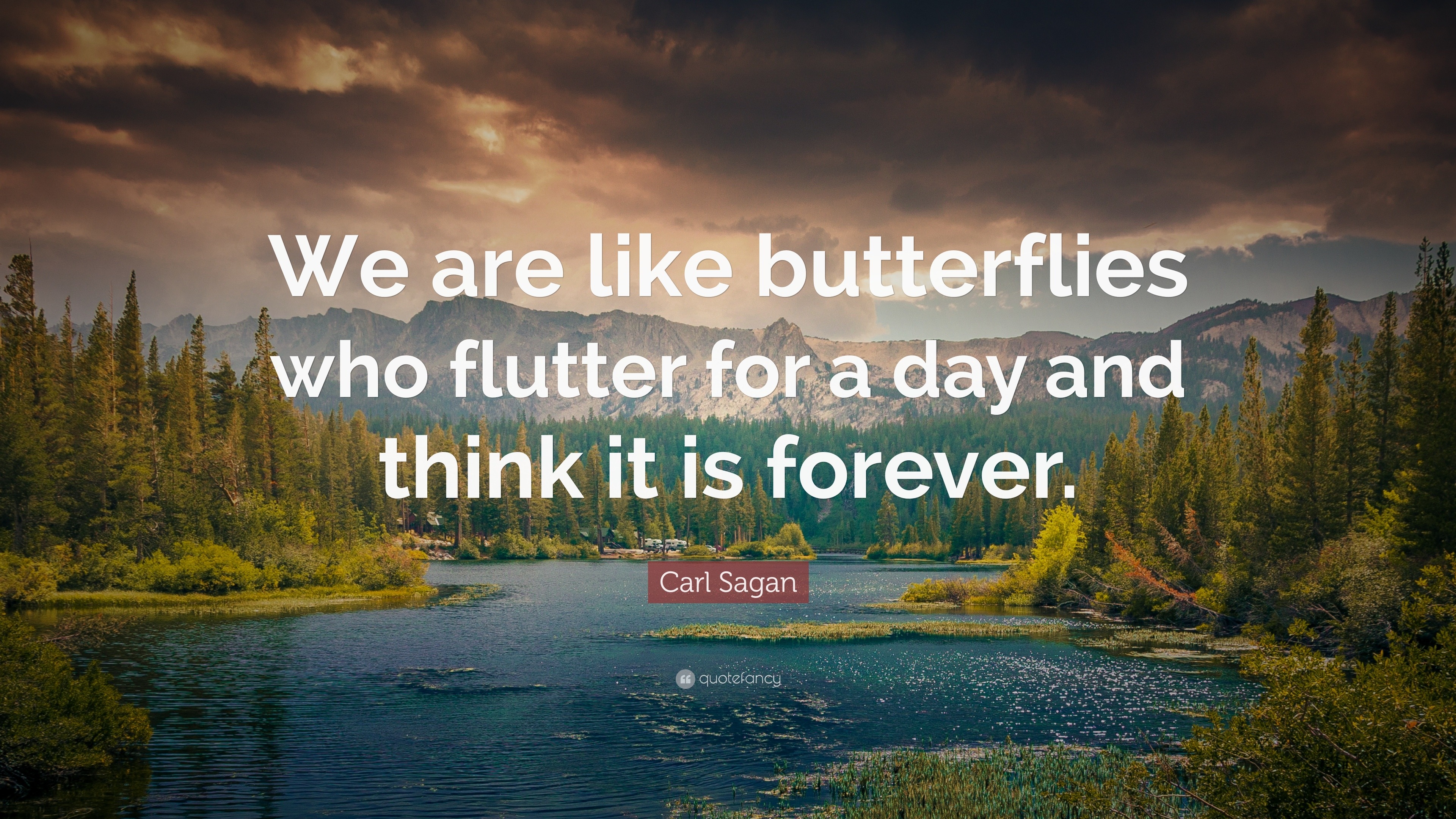 Carl Sagan Quote: “We are like butterflies who flutter for a day and ...