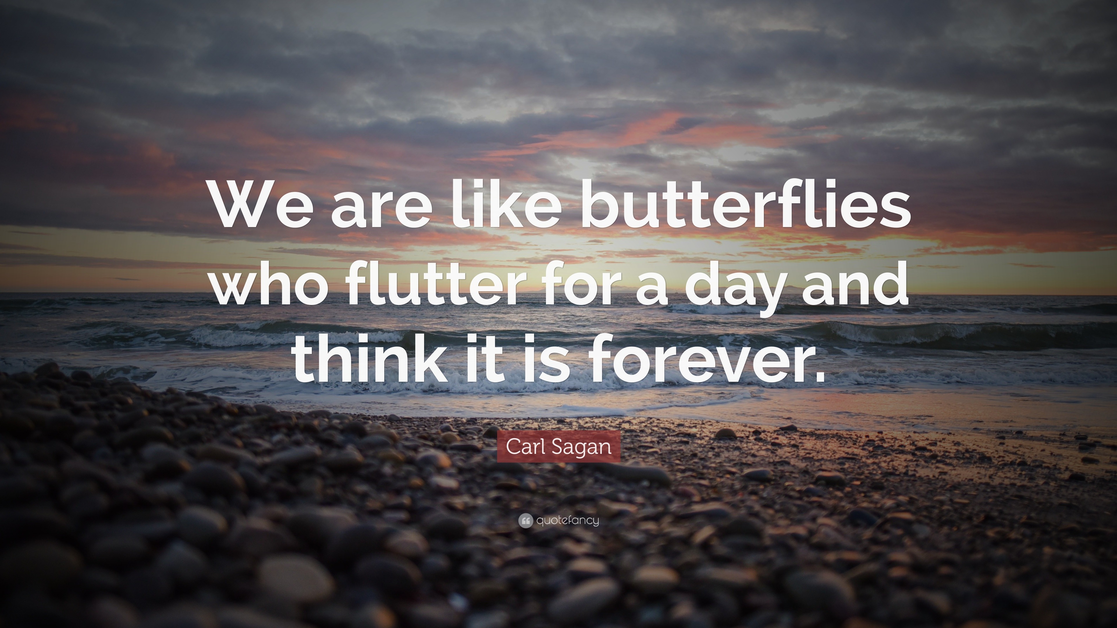 Carl Sagan Quote: “We are like butterflies who flutter for a day and ...